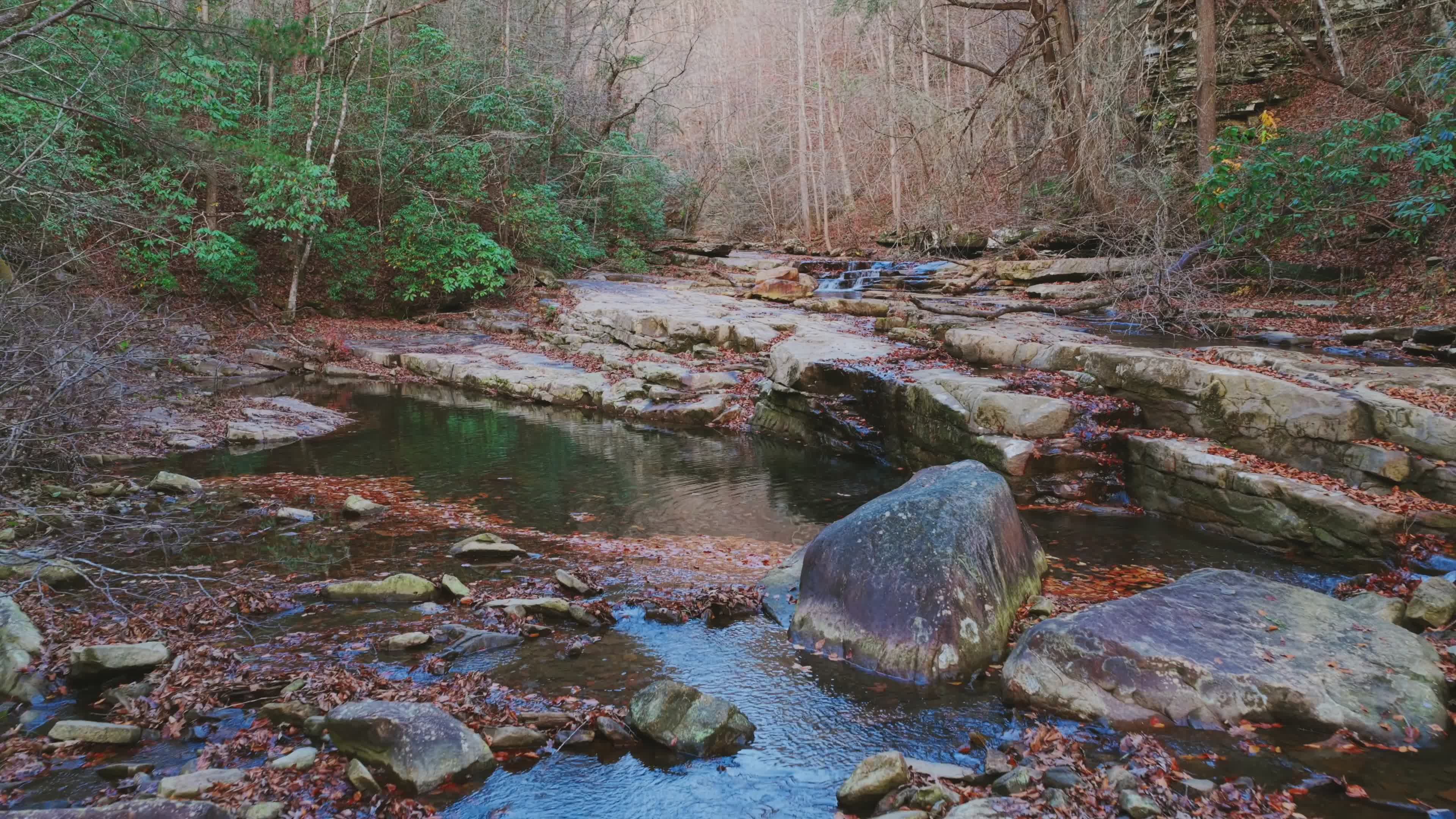 Serene Autumn Creek in Tennessee Forest Free Stock Video Footage ...