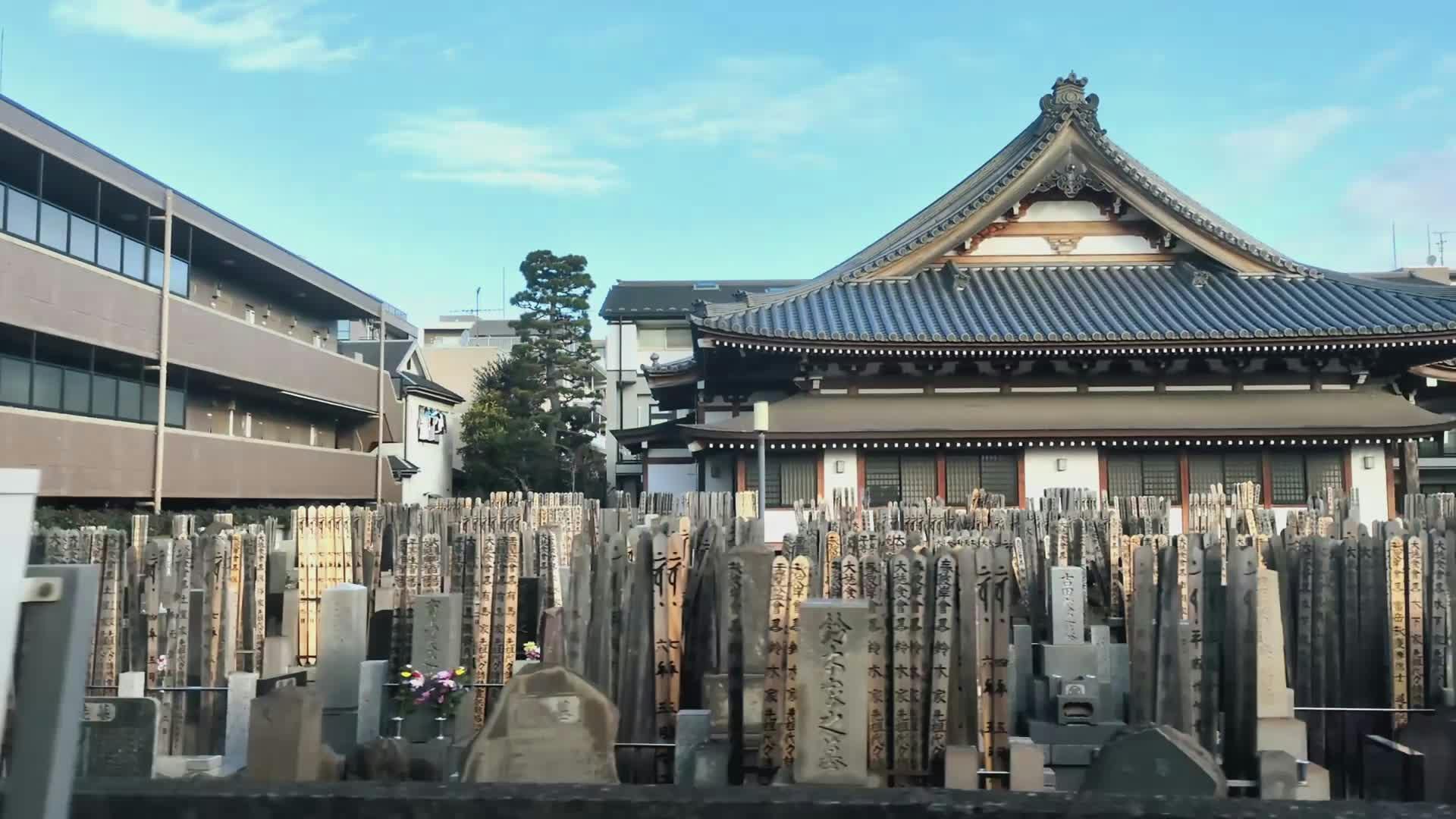 Japan+Spit+Kissing Videos, Download The BEST Free 4k Stock Video ...