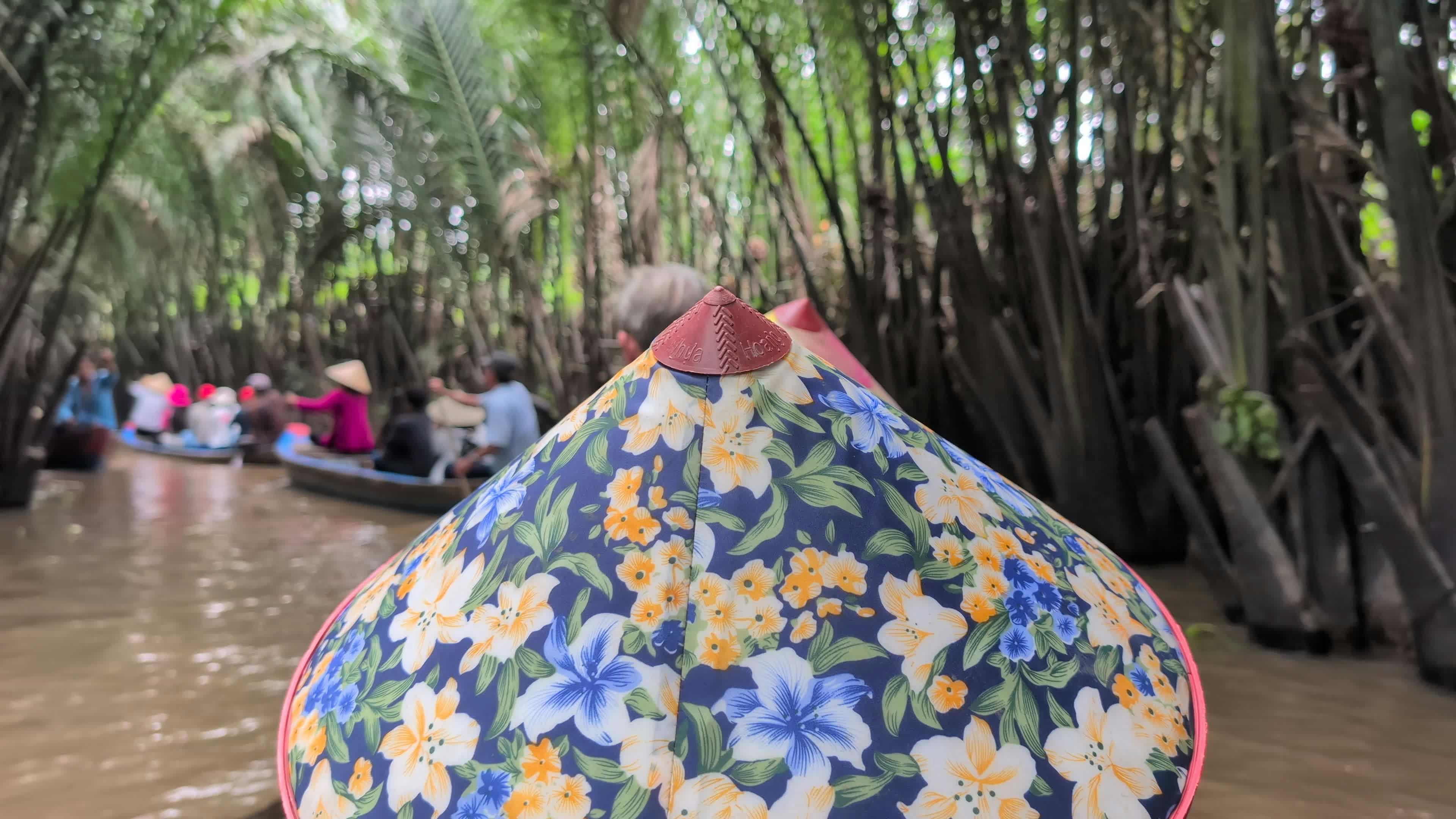 Hành Trình Chèo Thuyền Ngắm Cảnh Tuyệt đẹp Trên đồng Bằng Sông Mekong ...