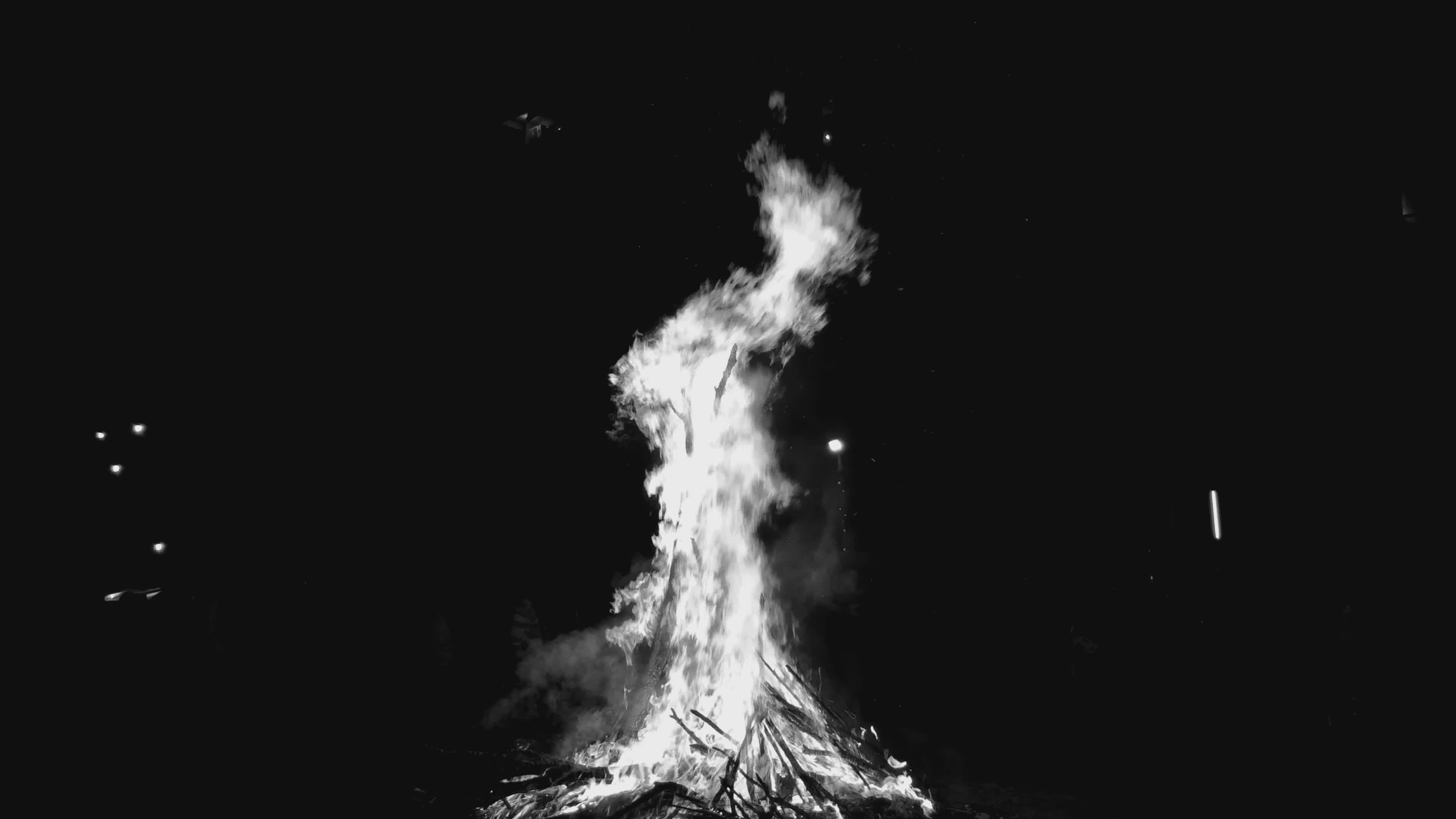 Mesmerizing Black and White Bonfire Flame Free Stock Video Footage ...