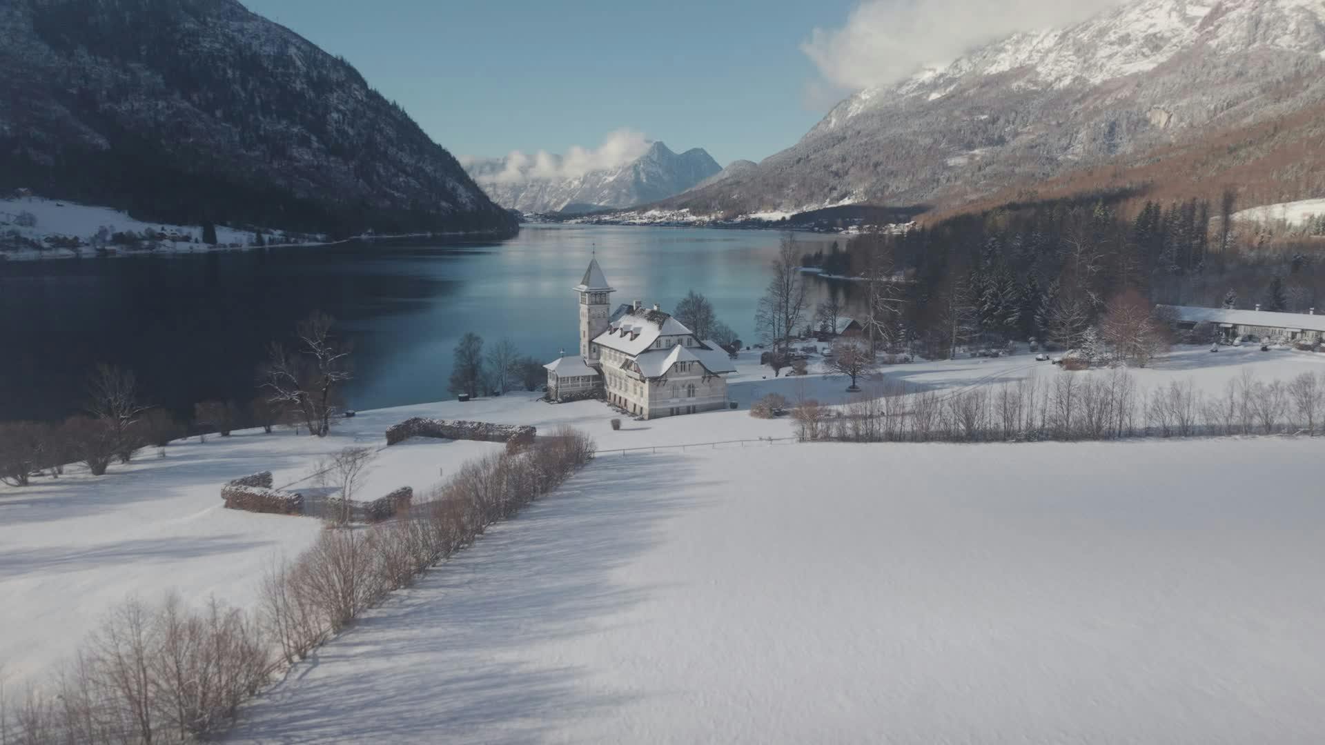 Tree+Sifcub Videos, Download The BEST Free 4k Stock Video Footage ...