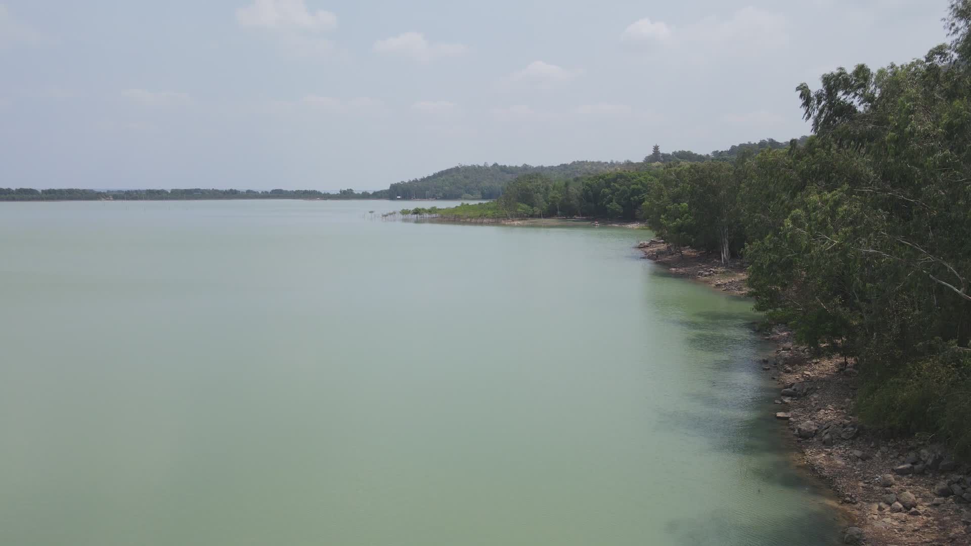Serene Lakeside View with Lush Greenery Free Stock Video Footage ...