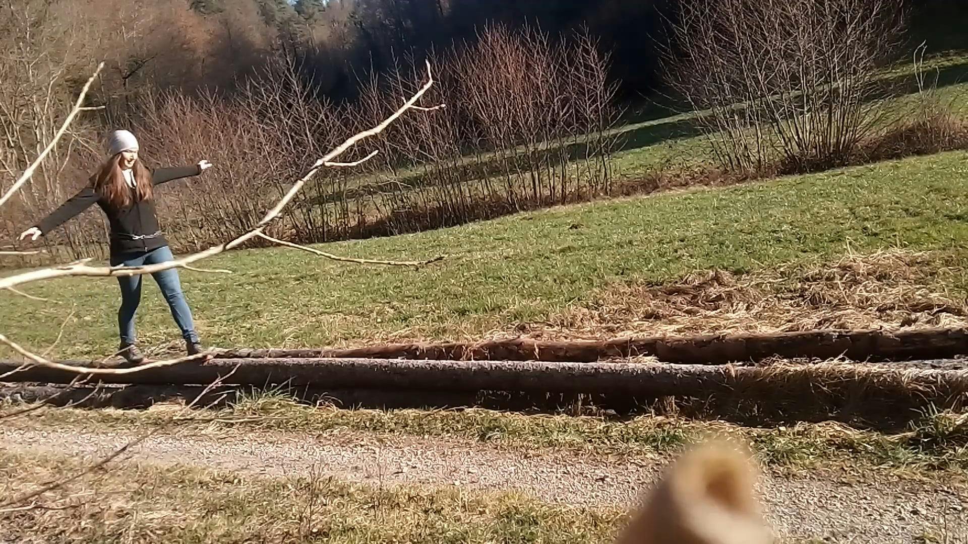 A Woman Walking On A Tree Log Maintaining Her Balance Free Stock Video ...