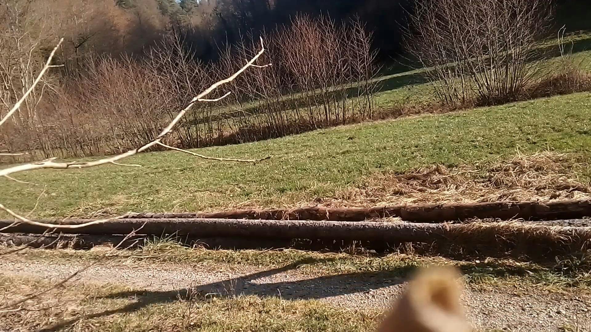 Running Balance Method Videos, Download The BEST Free 4k Stock Video ...