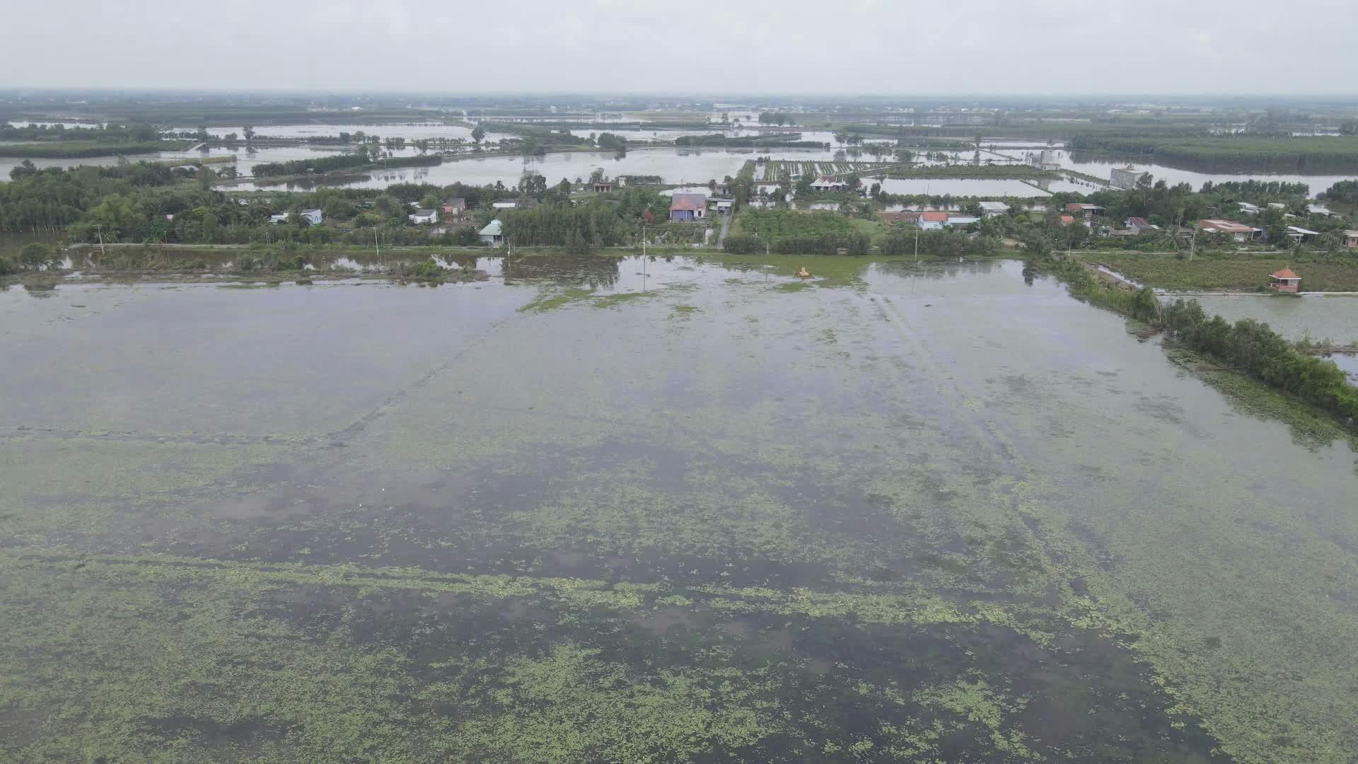 Vista Aérea De Vastas Tierras De Cultivo Inundadas · Vídeo de stock ...