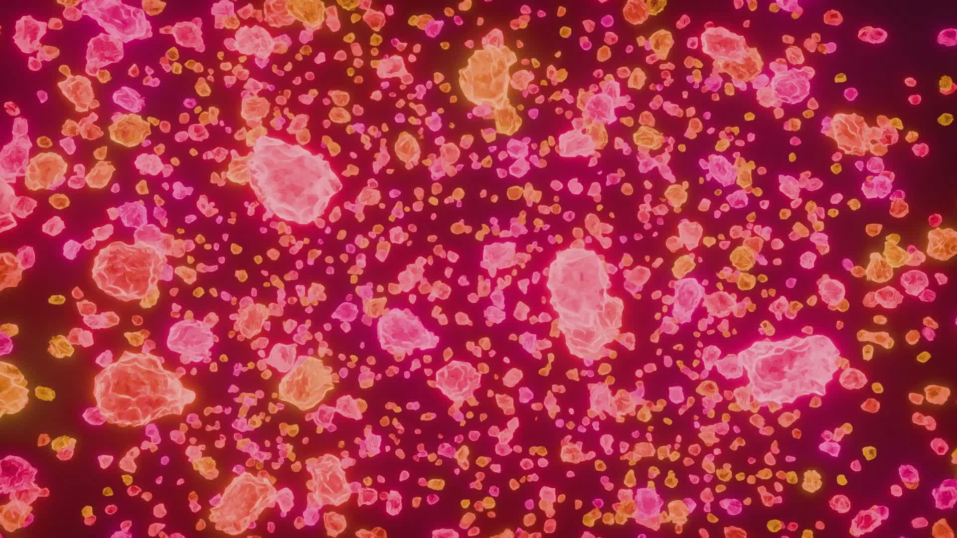 Abstract Pink and Orange Particle Animation Free Stock Video Footage ...
