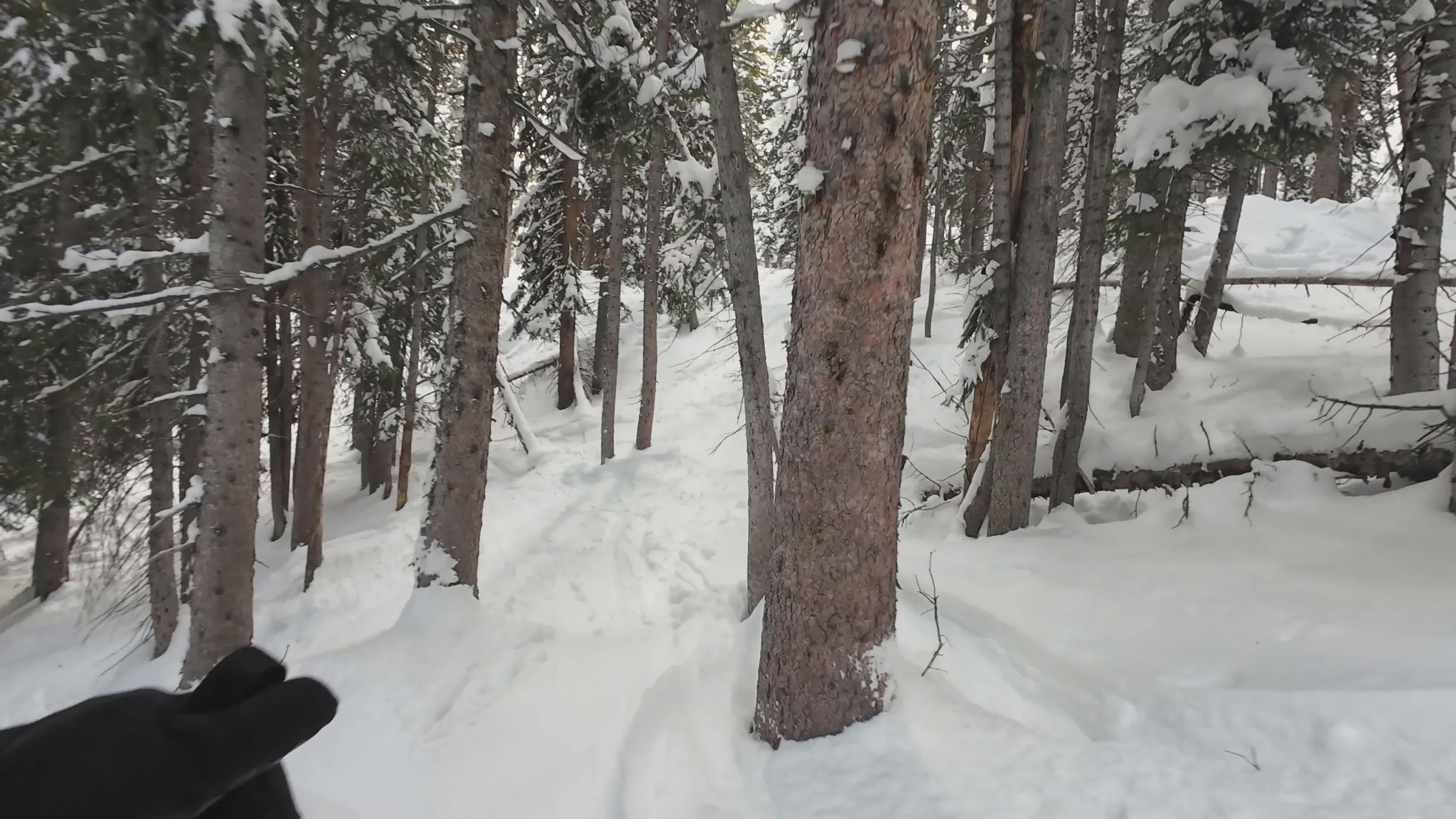 Los mejores 50.000+ vídeos de Ice-pie-girls · Banco de Imágenes Gratis ...