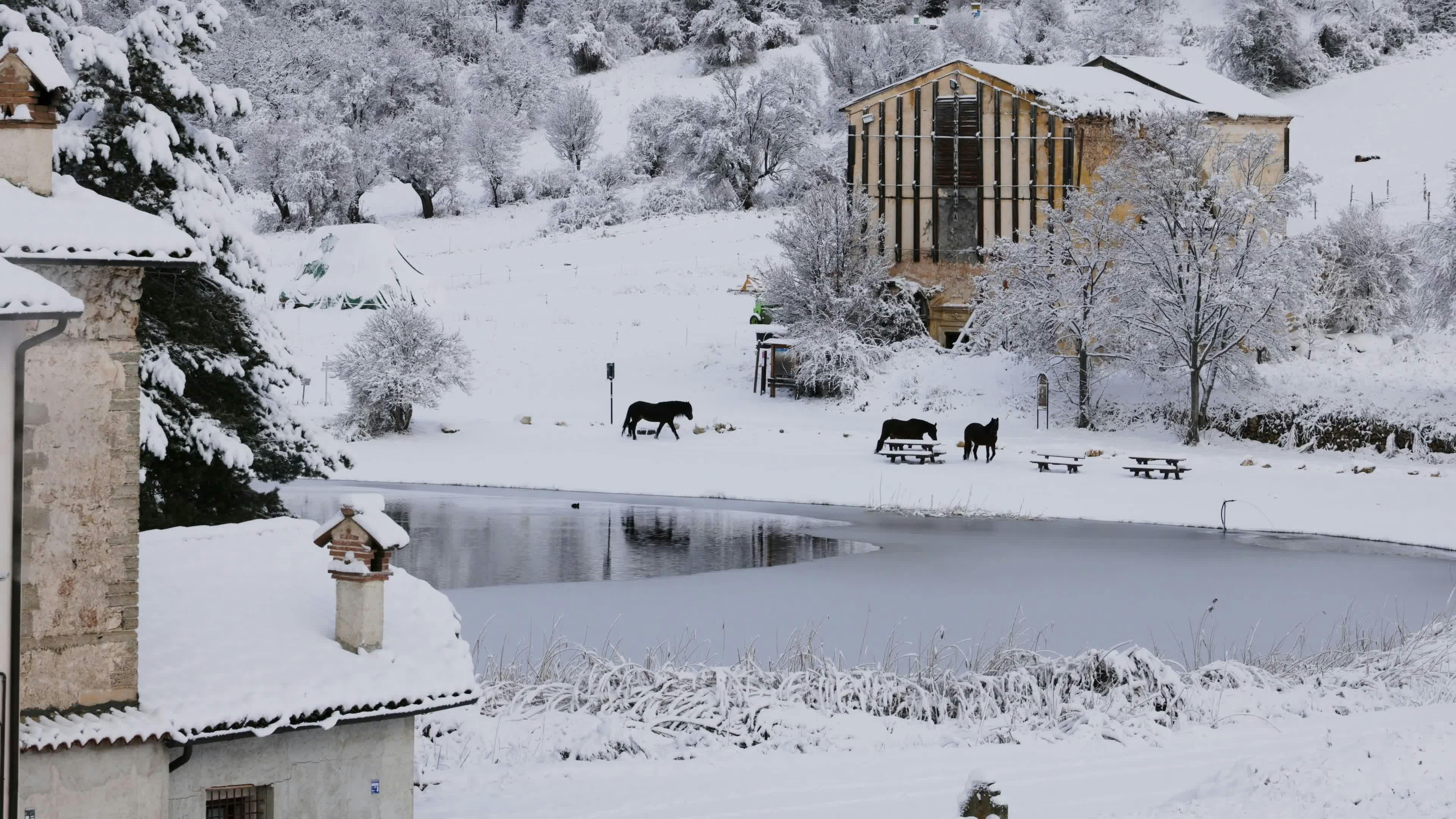 Winter Wonderland: Snowy Countryside Farm Free Stock Video Footage ...