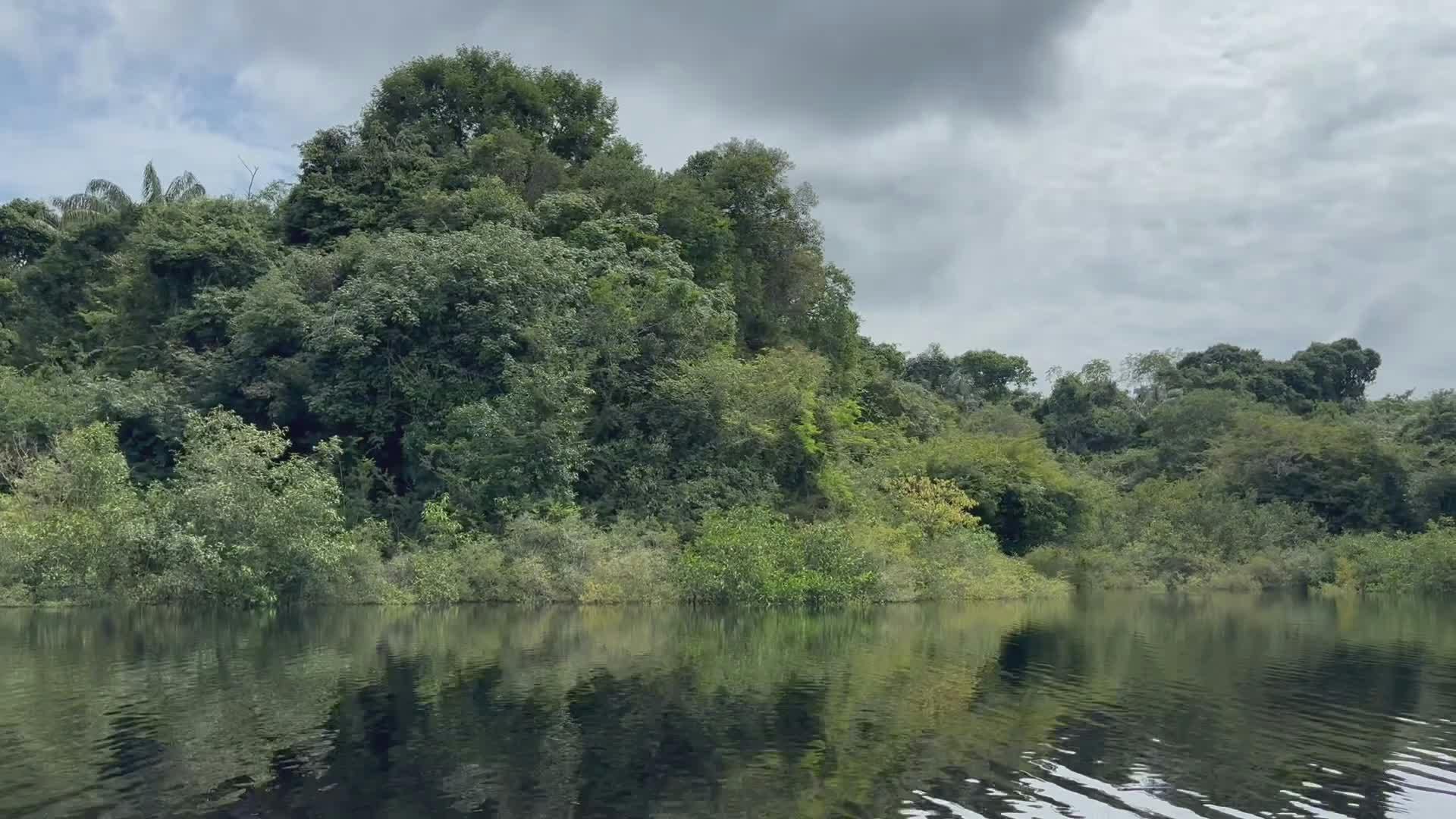 Fundal Green Videos, Download The BEST Free 4k Stock Video Footage ...