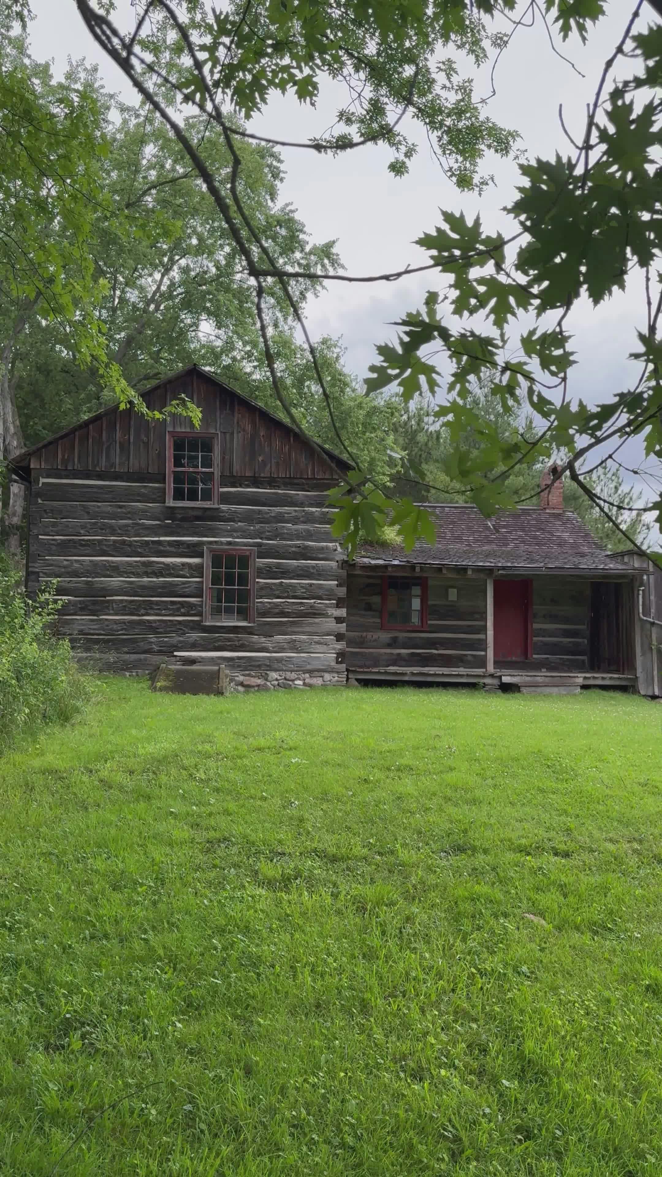 Rustic Log Cabin in Tranquil Forest Setting Free Stock Video Footage, Royalty-Free 4K & HD Video ...
