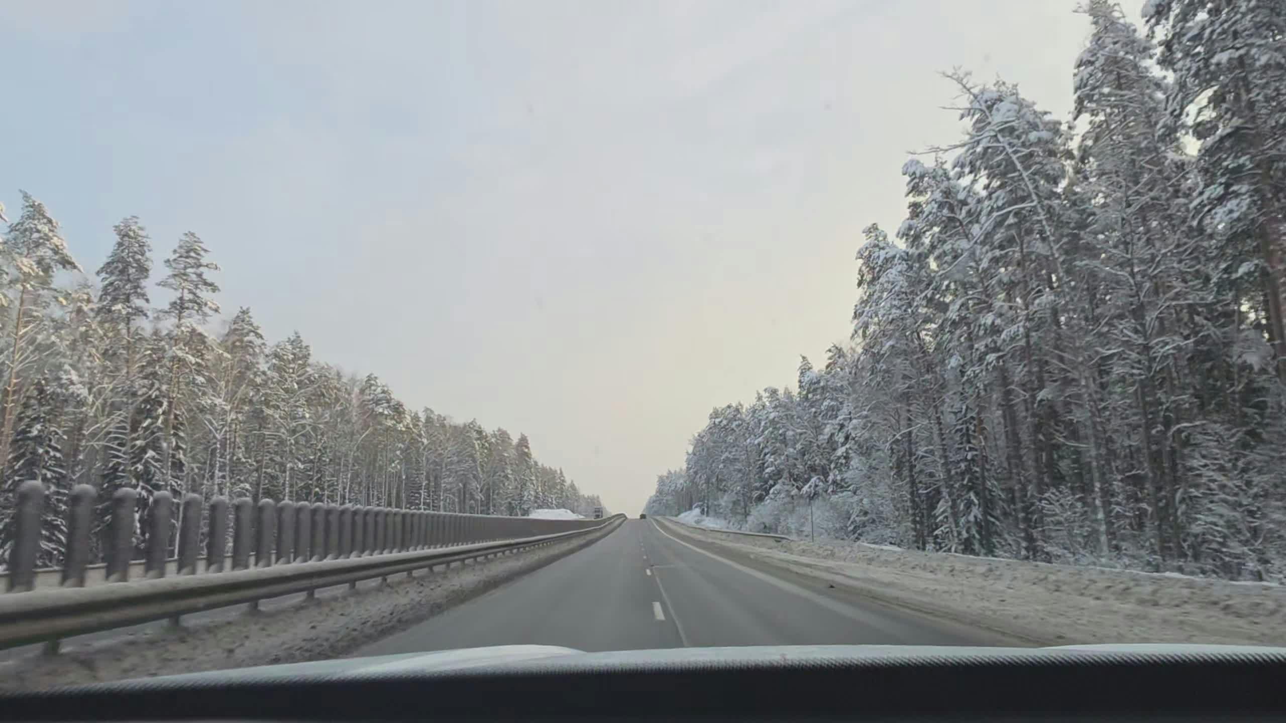 Scenic Winter Drive Through Snowy Forest Free Stock Video Footage ...