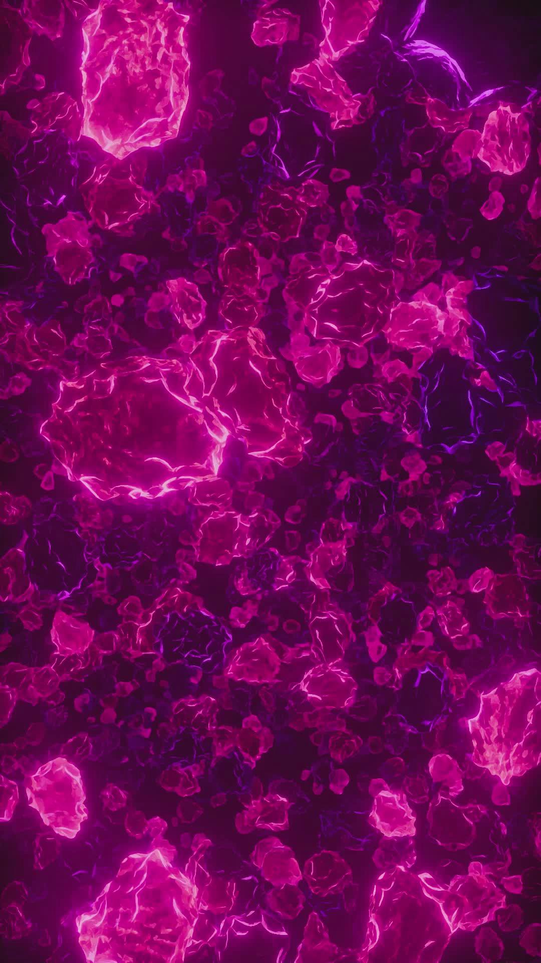 Vibrant Abstract Pink Fluid Motion Free Stock Video Footage, Royalty ...