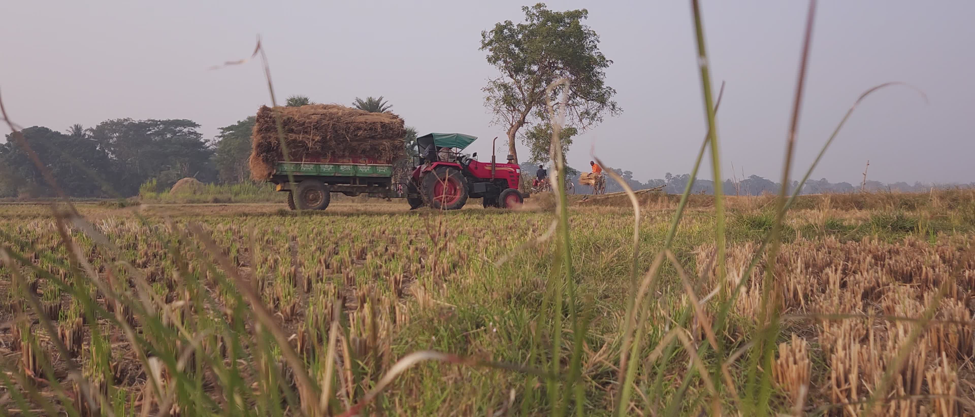 Aerial View of Indian Farming Scene Free Stock Video Footage, Royalty ...