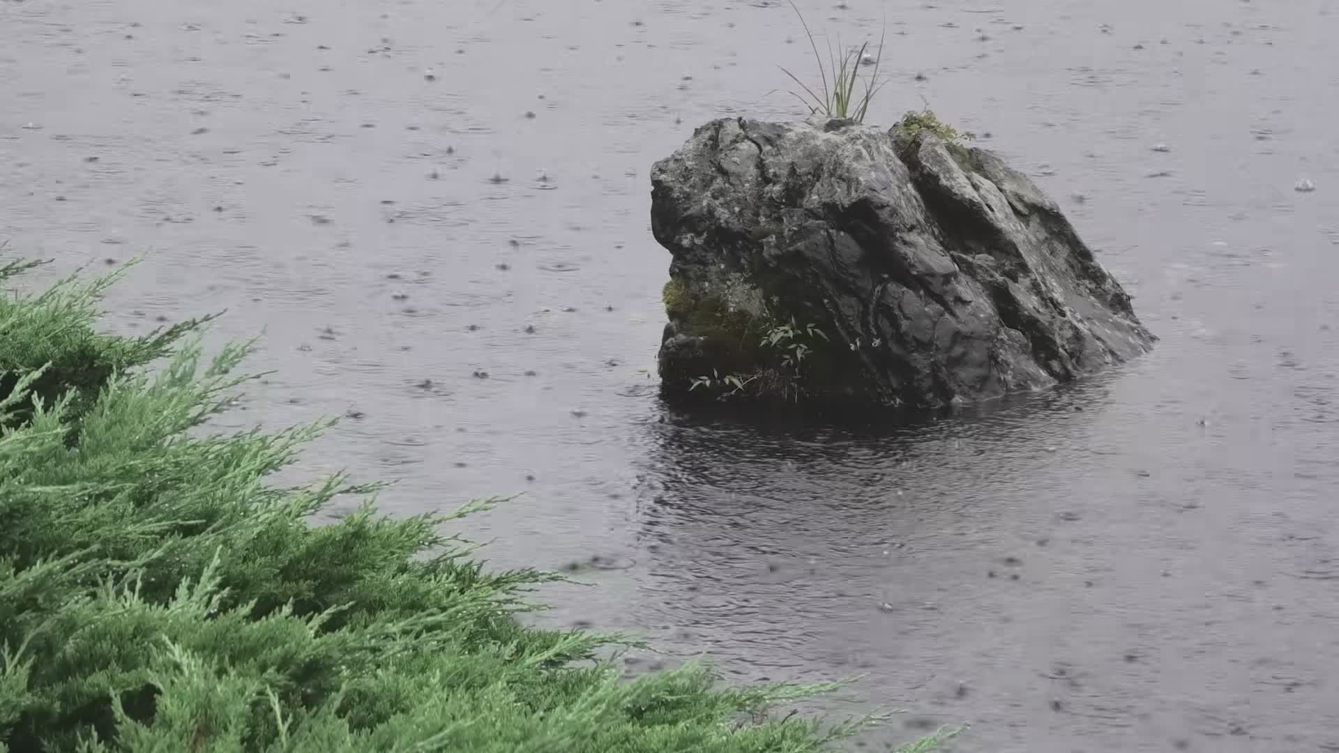 Serene Rock in Rain-Dappled Pond Free Stock Video Footage, Royalty-Free ...