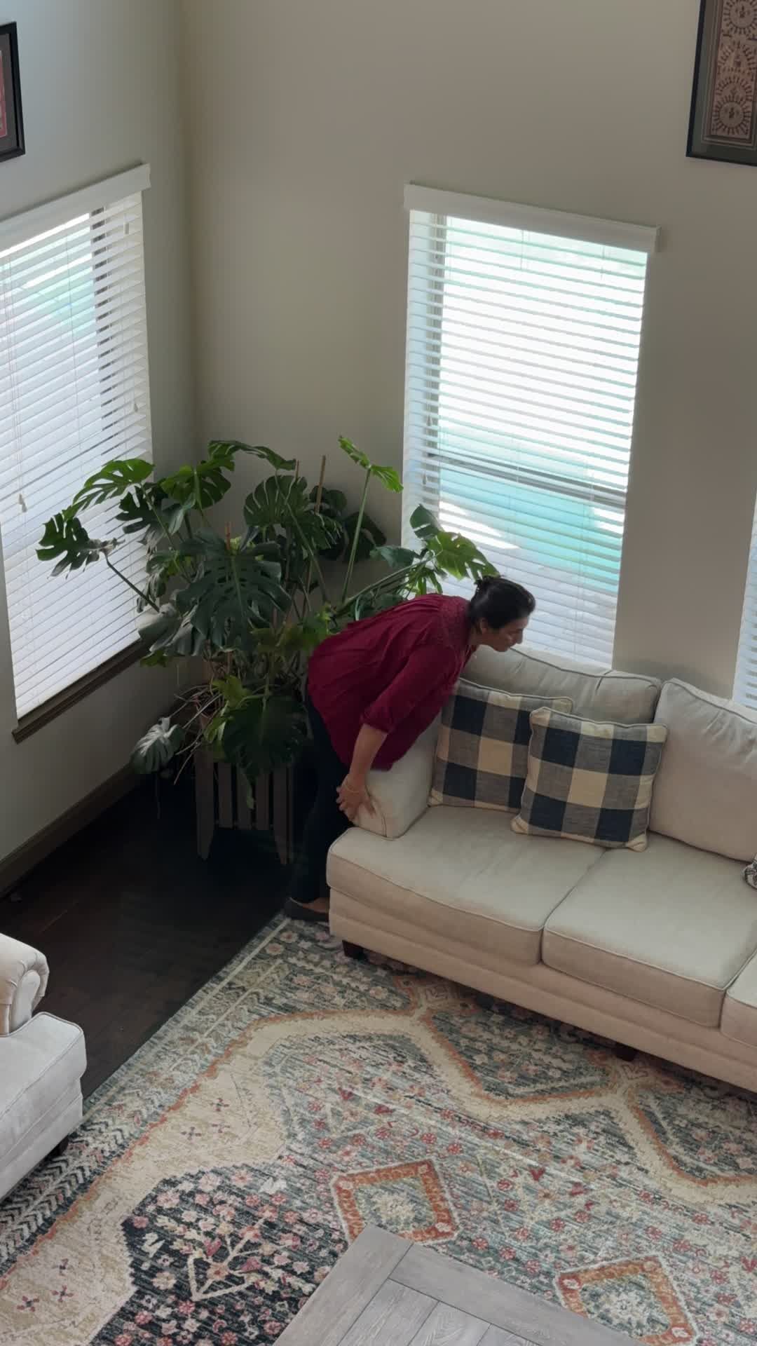 Indoor Plant Decorated Living Room with People Free Stock Video Footage ...