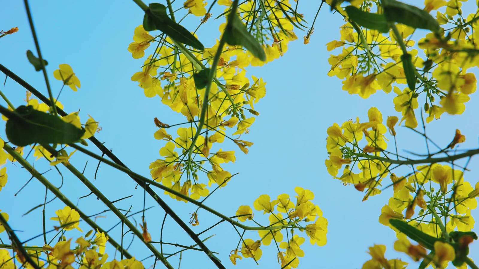 Videos+Of+A+Woman+Getting+Eaten+Out Videos, Download The BEST Free 4k ...