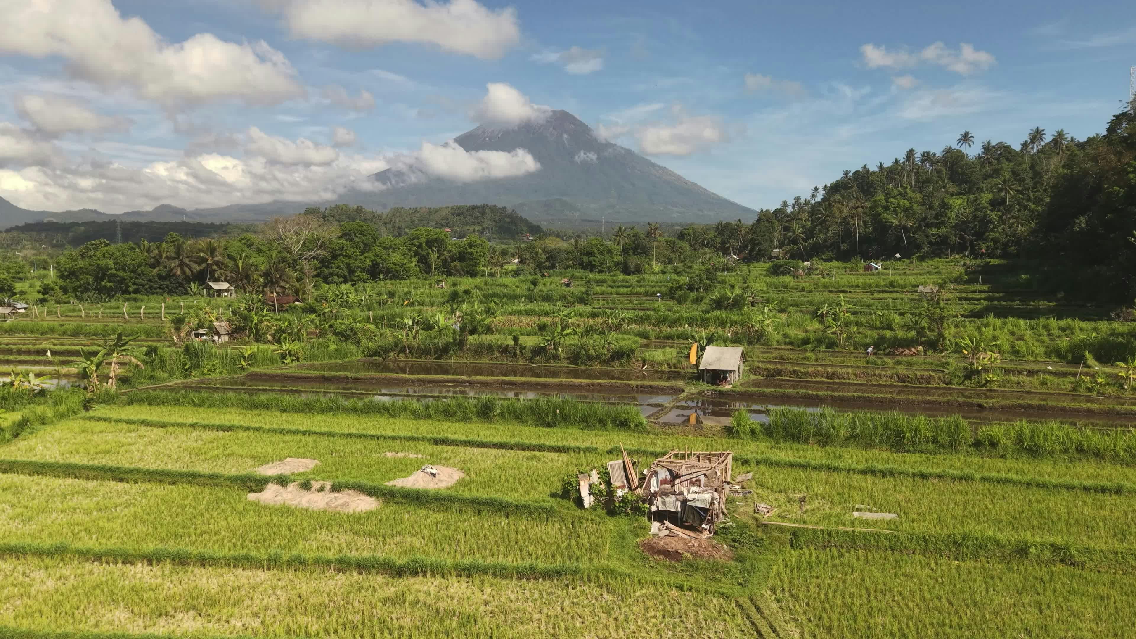 Sawah Teras Yang Tenang Dengan Pemandangan Gunung Berapi Yang Megah ...