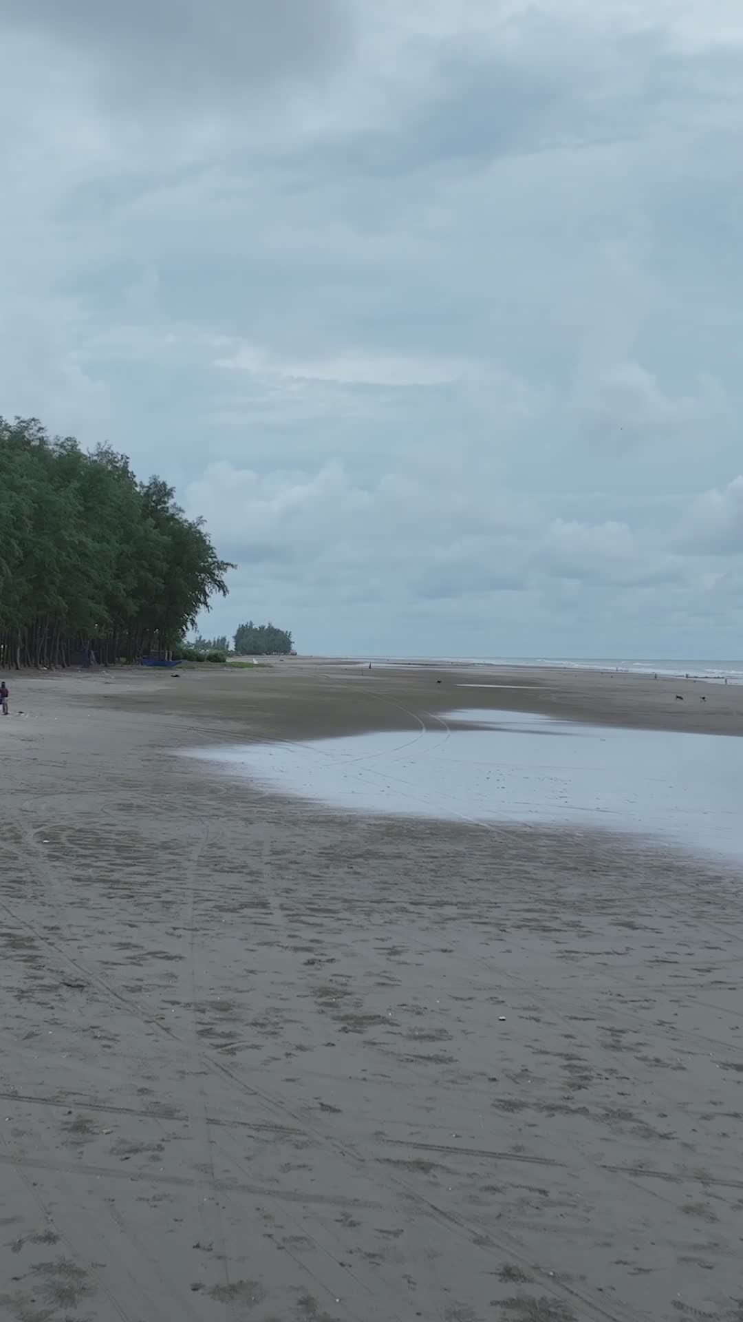 Serene Aerial View of a Tropical Beach Free Stock Video Footage ...