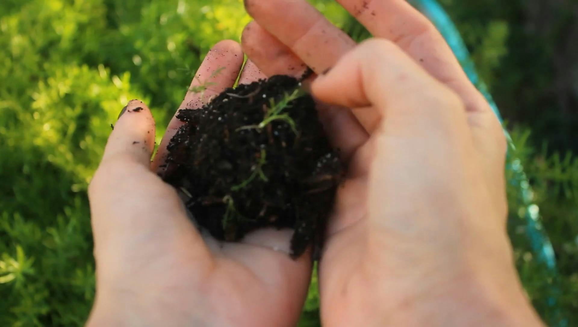 Soil Videos, Download The BEST Free 4k Stock Video Footage & Soil HD ...