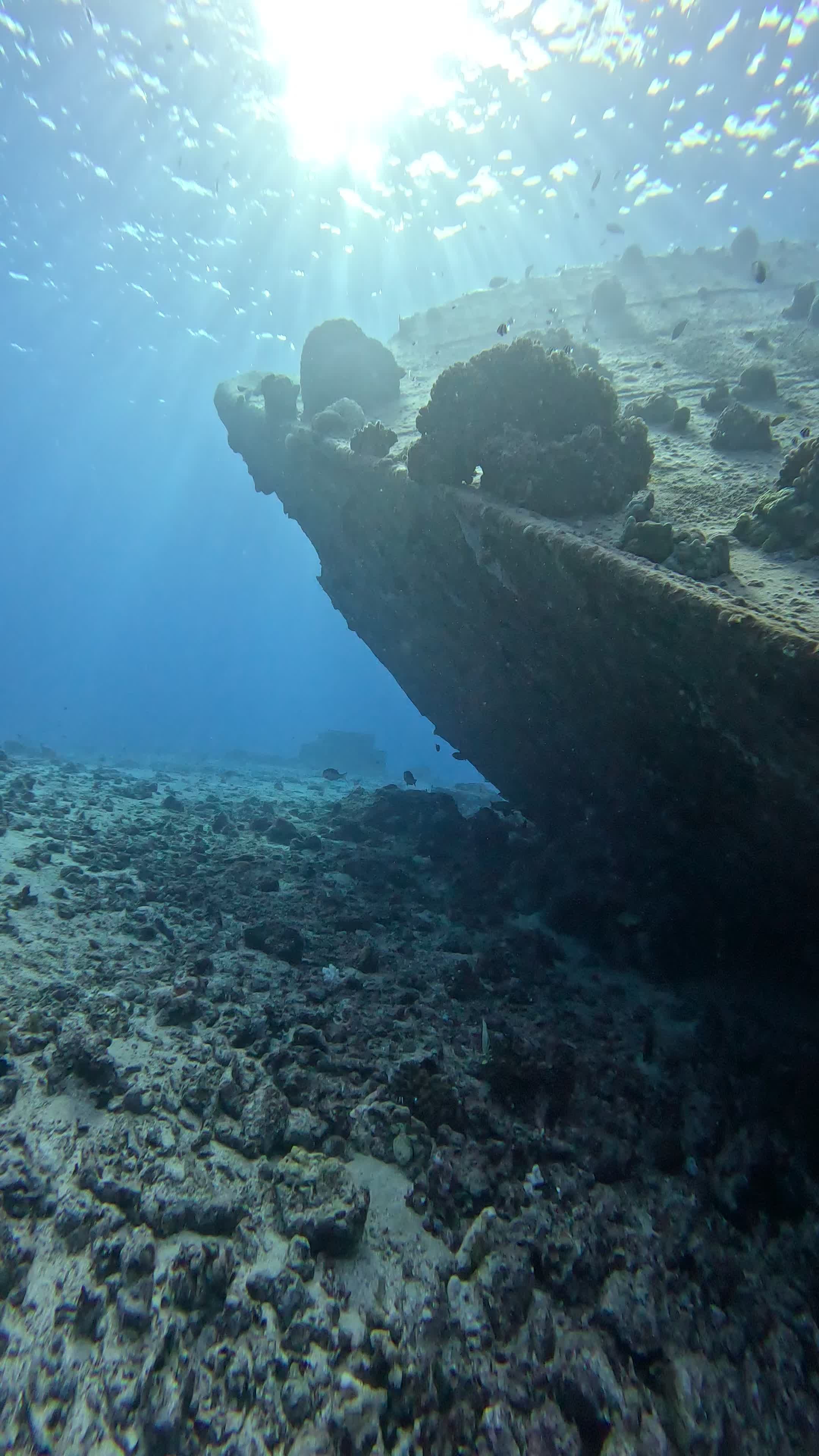 Stunning Underwater Shipwreck Exploration Free Stock Video Footage ...