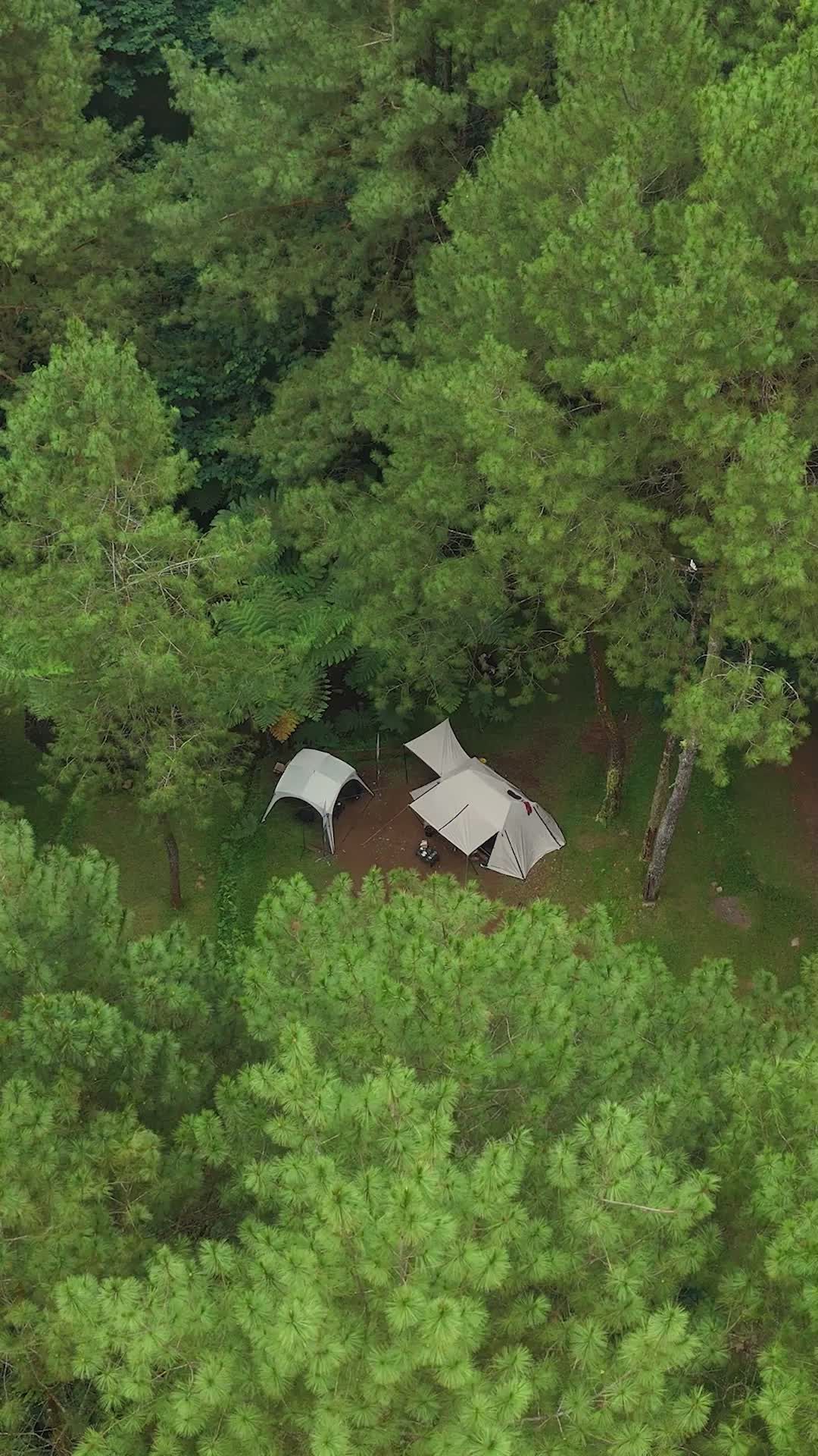 Aerial View of Outdoor Camping in Forest Area Free Stock Video Footage ...