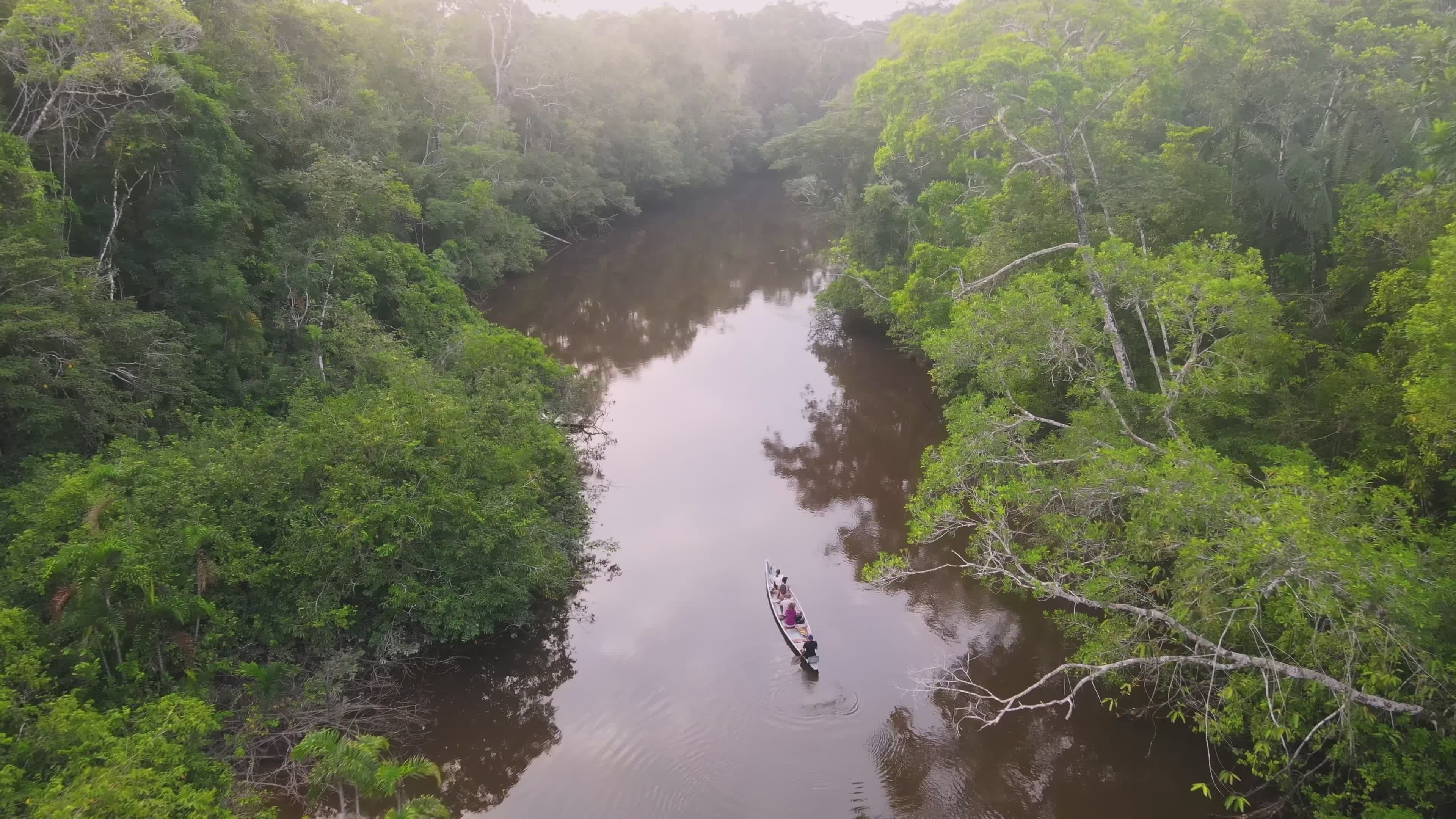 Drone View of Amazonian River Expedition Free Stock Video Footage ...