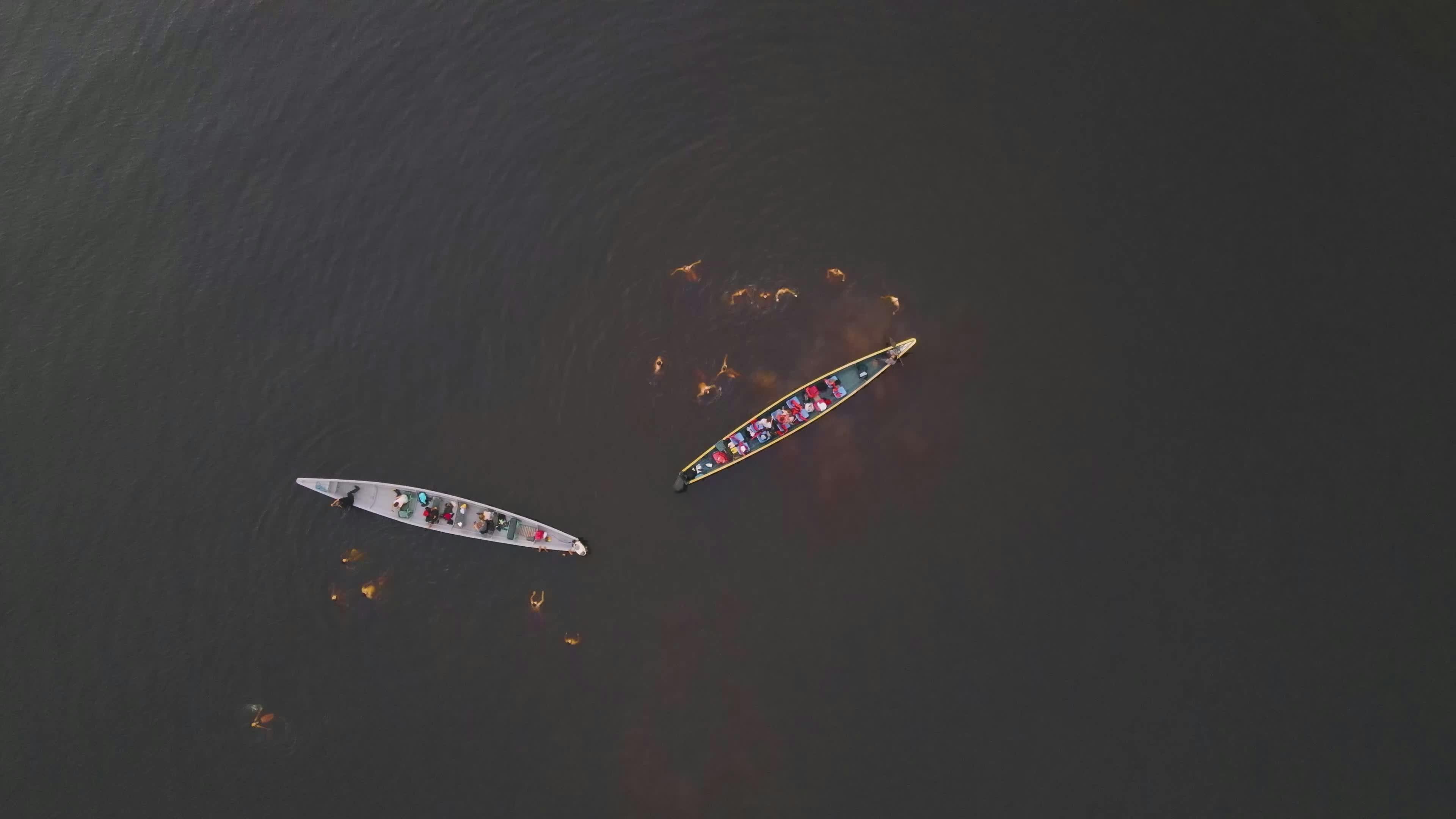 Aerial View of Canoes in Tropical River Free Stock Video Footage ...