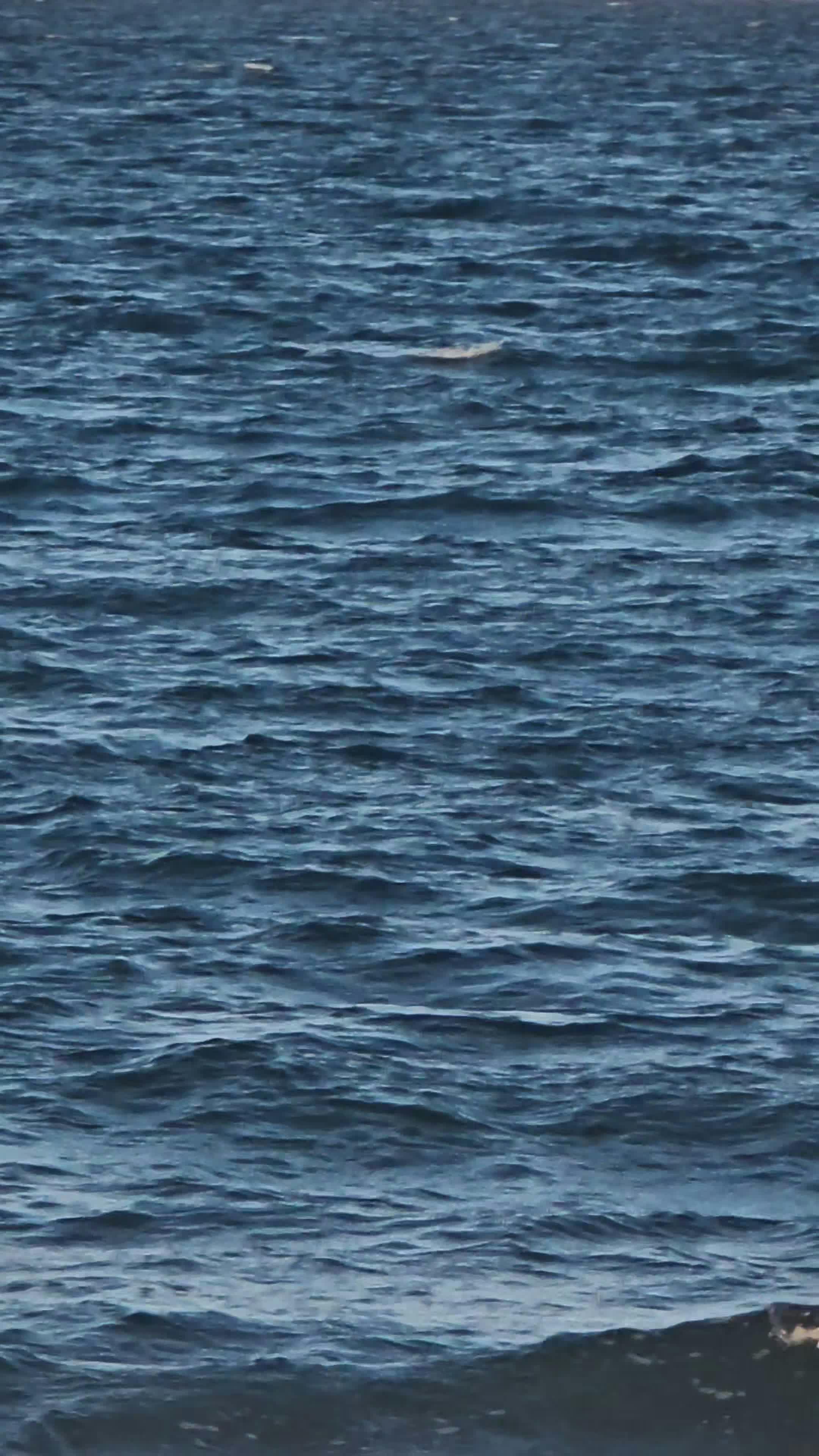 Calm Blue Ocean Waves Gently Crashing Free Stock Video Footage, Royalty ...