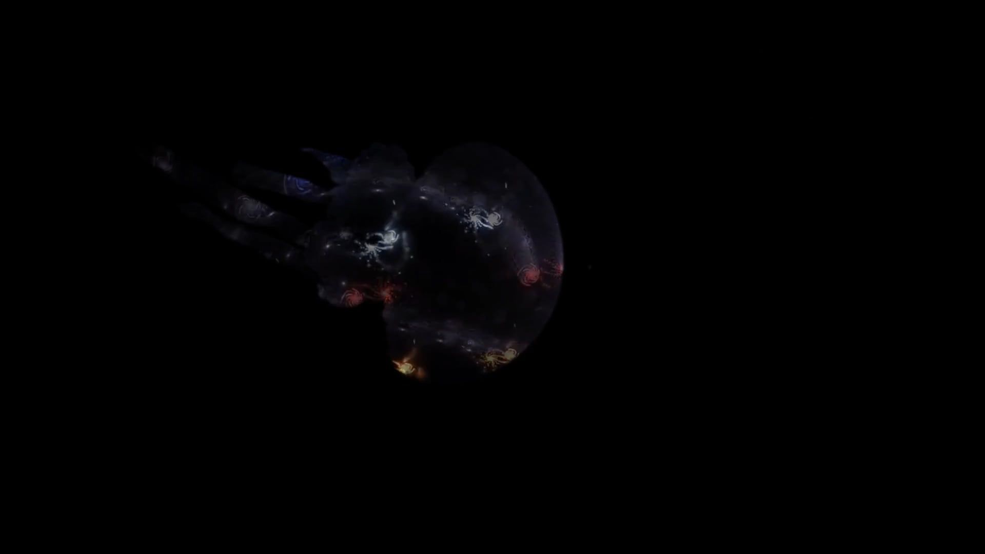 Animated Footage Of Jellyfish Free Stock Video Footage, Royalty-Free 4K ...