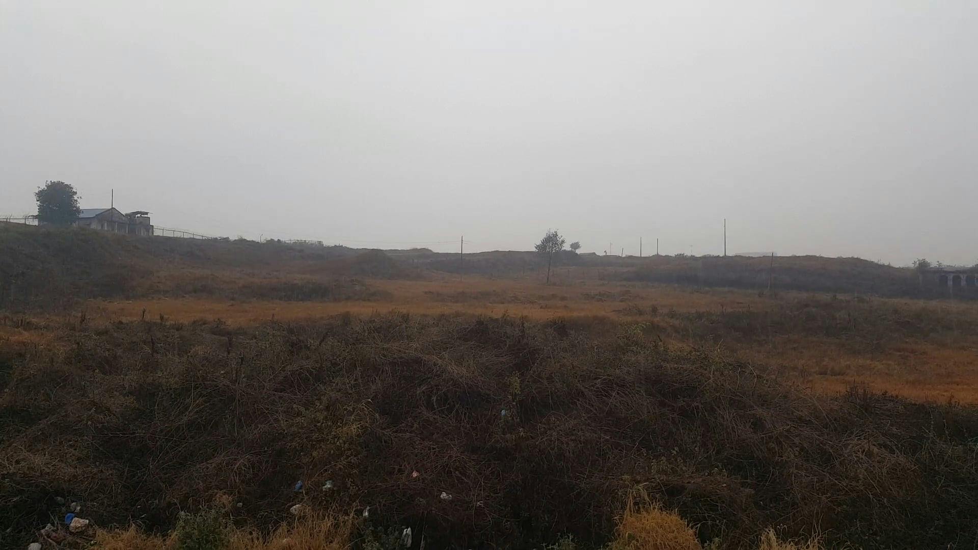 Dull Grass Videos, Download The BEST Free 4k Stock Video Footage & Dull ...