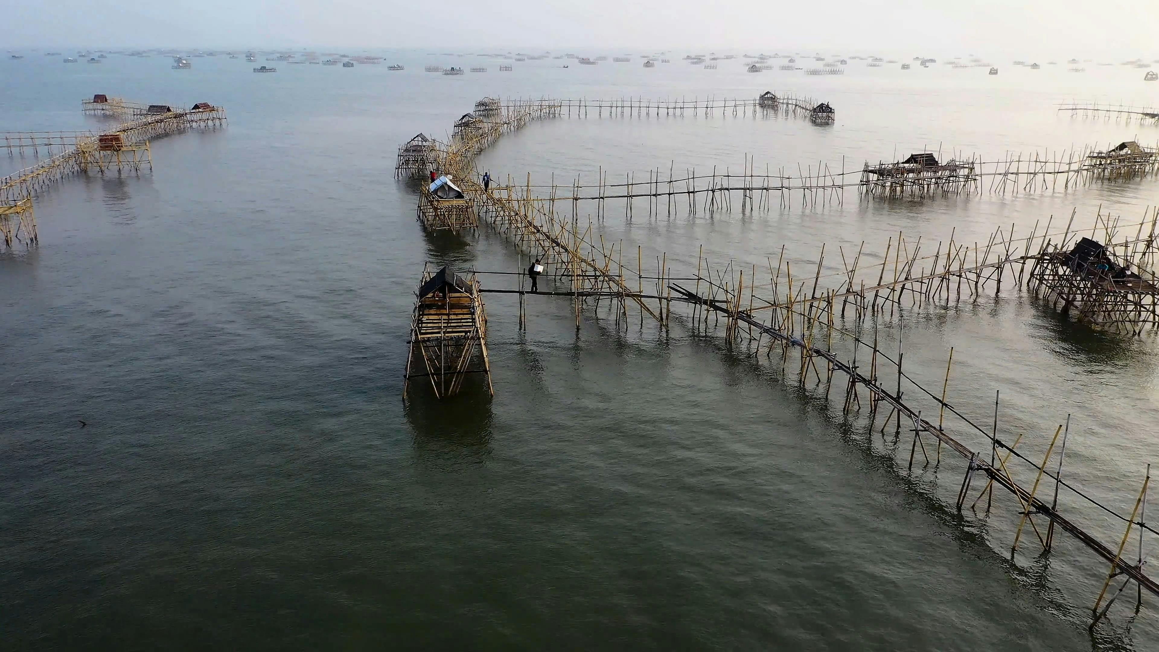 Lines Of Fish Pens In A Lake Used For Fish Culture Free Stock Video ...
