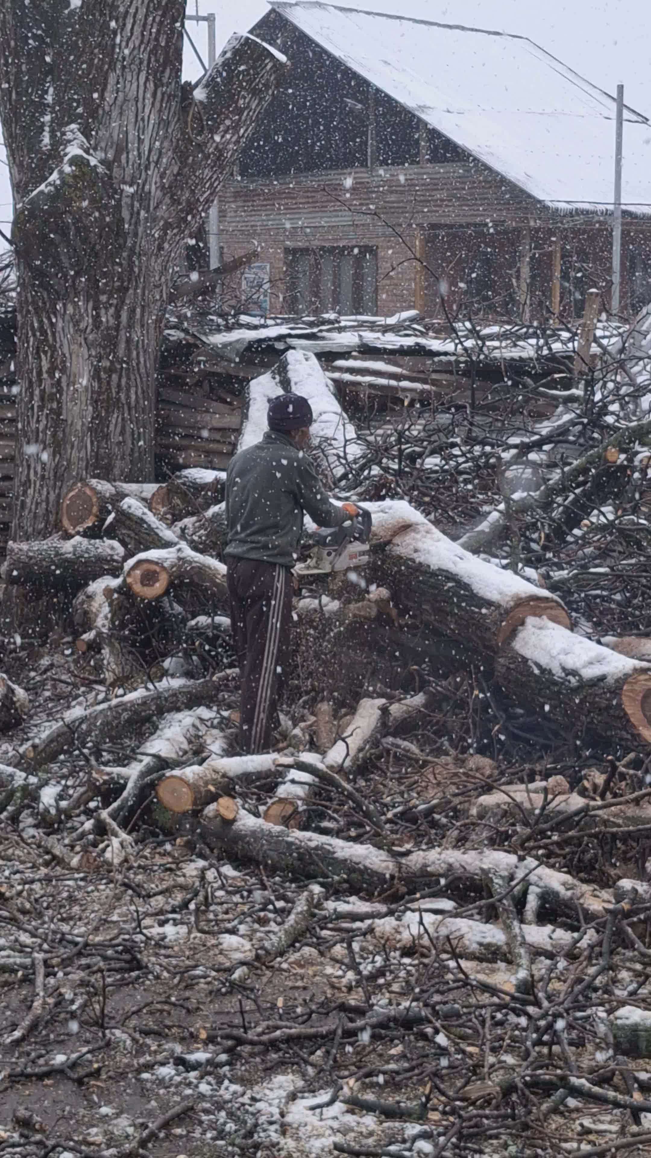 Winter Logging Scene with Snowfall Free Stock Video Footage, Royalty ...