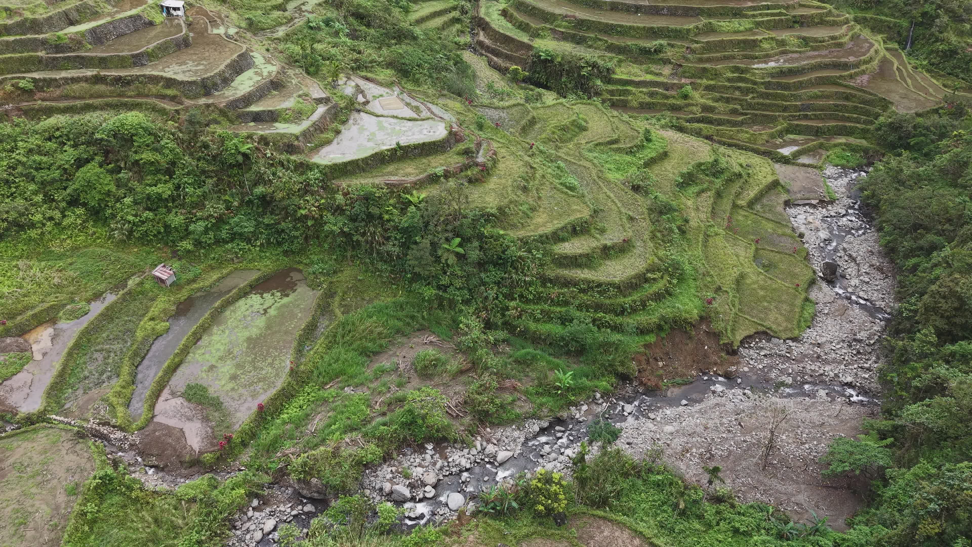 Lush Green Rice Terraces in the Philippines Free Stock Video Footage ...