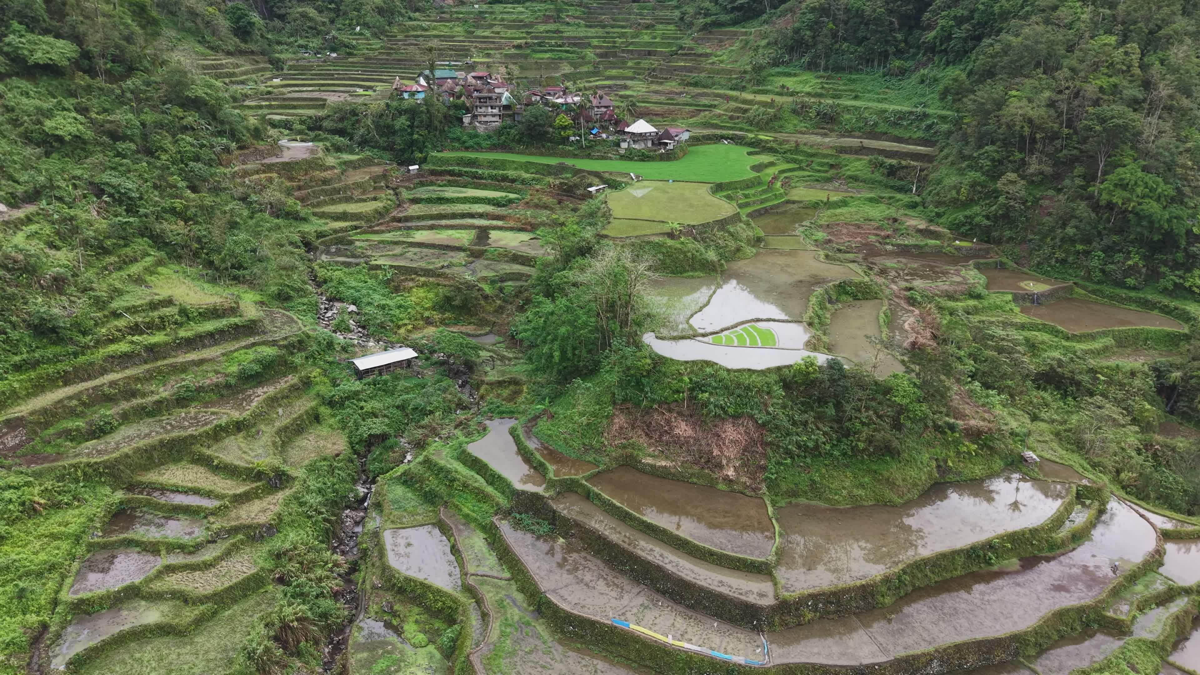 Stunning Aerial View of Banaue Rice Terraces Free Stock Video Footage ...
