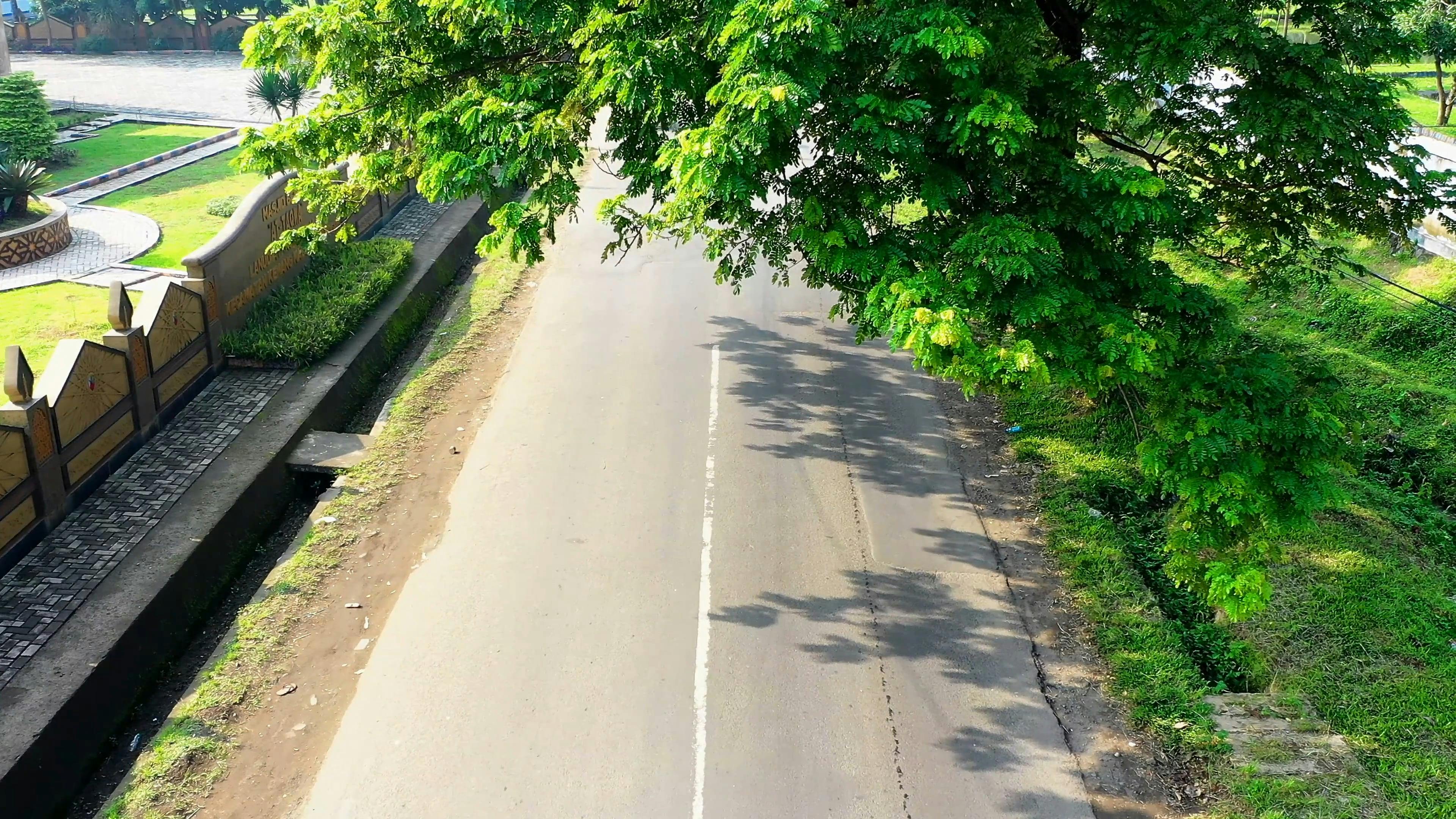 A Railroad Train In The Middle Of The Freeway And Residential Community ...