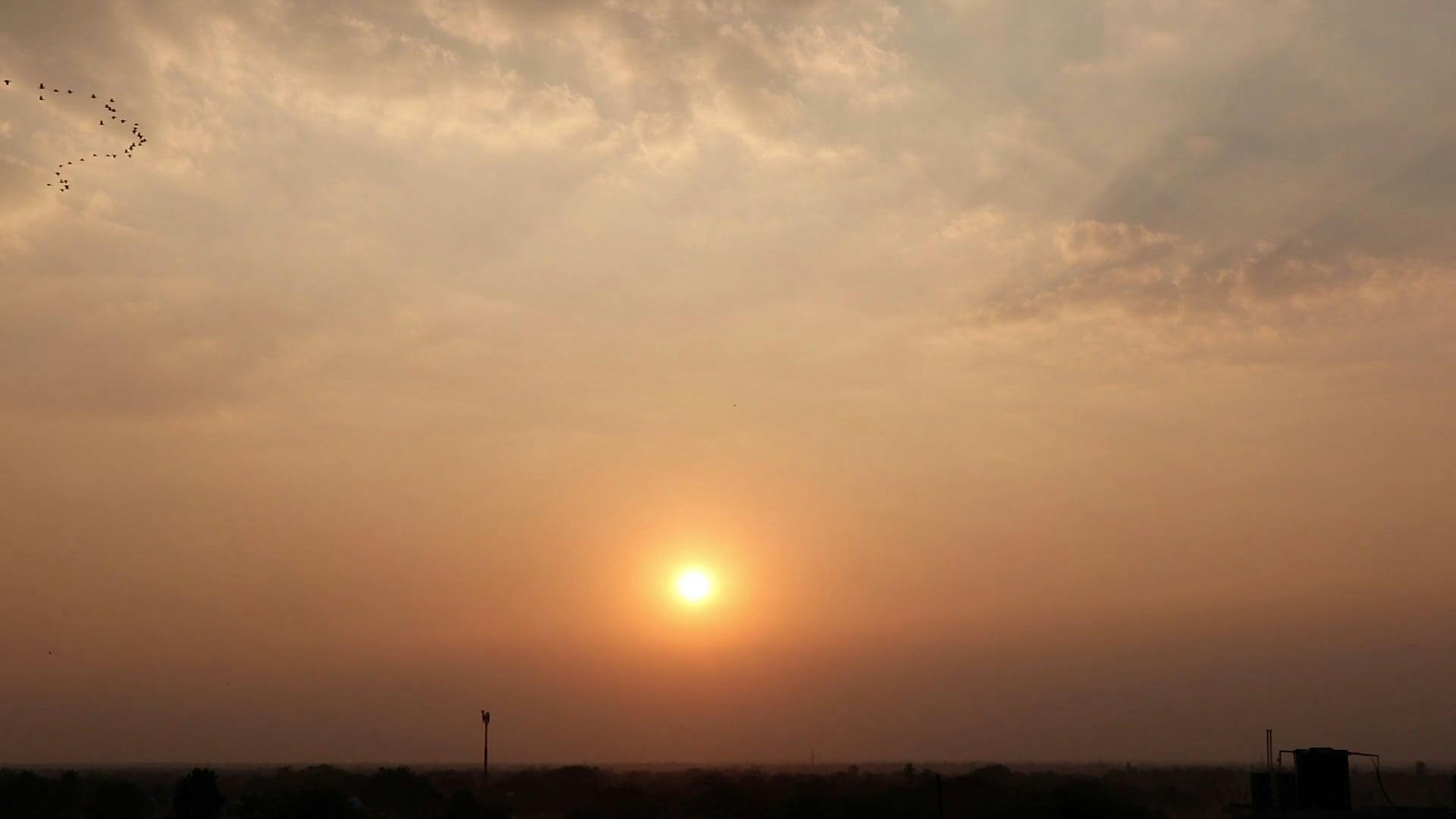 Footage Of The Sunset And The Birds Free Stock Video Footage, Royalty ...