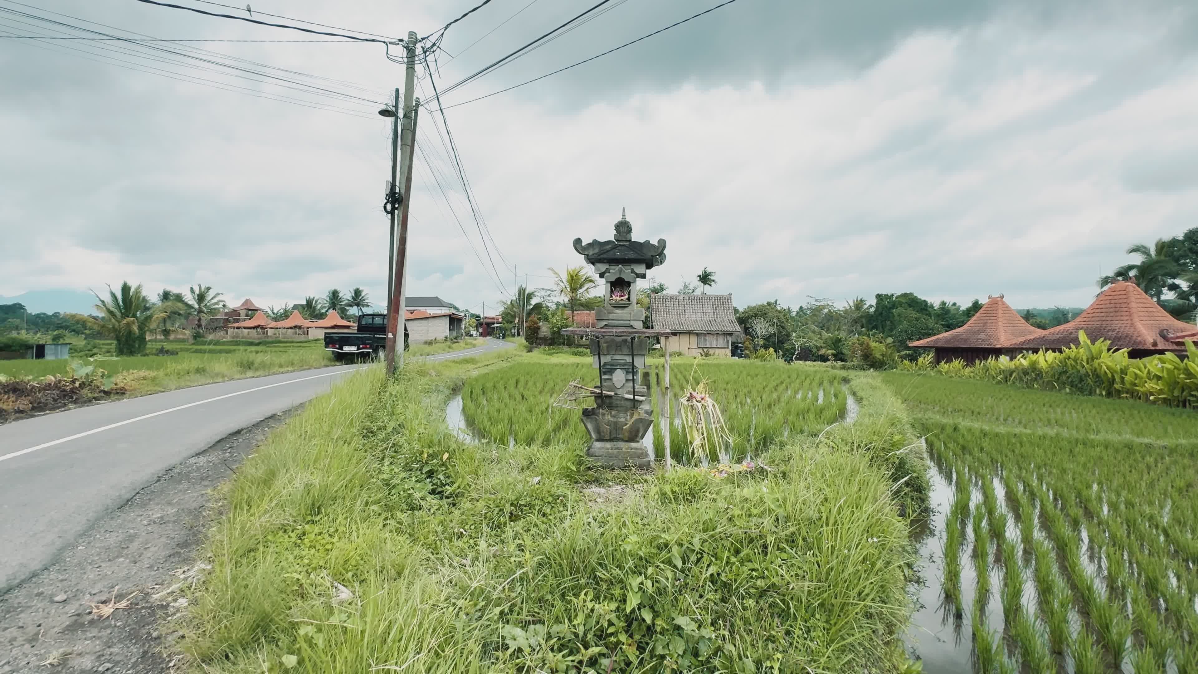 Serene Bali Village with Lush Rice Fields Free Stock Video Footage ...