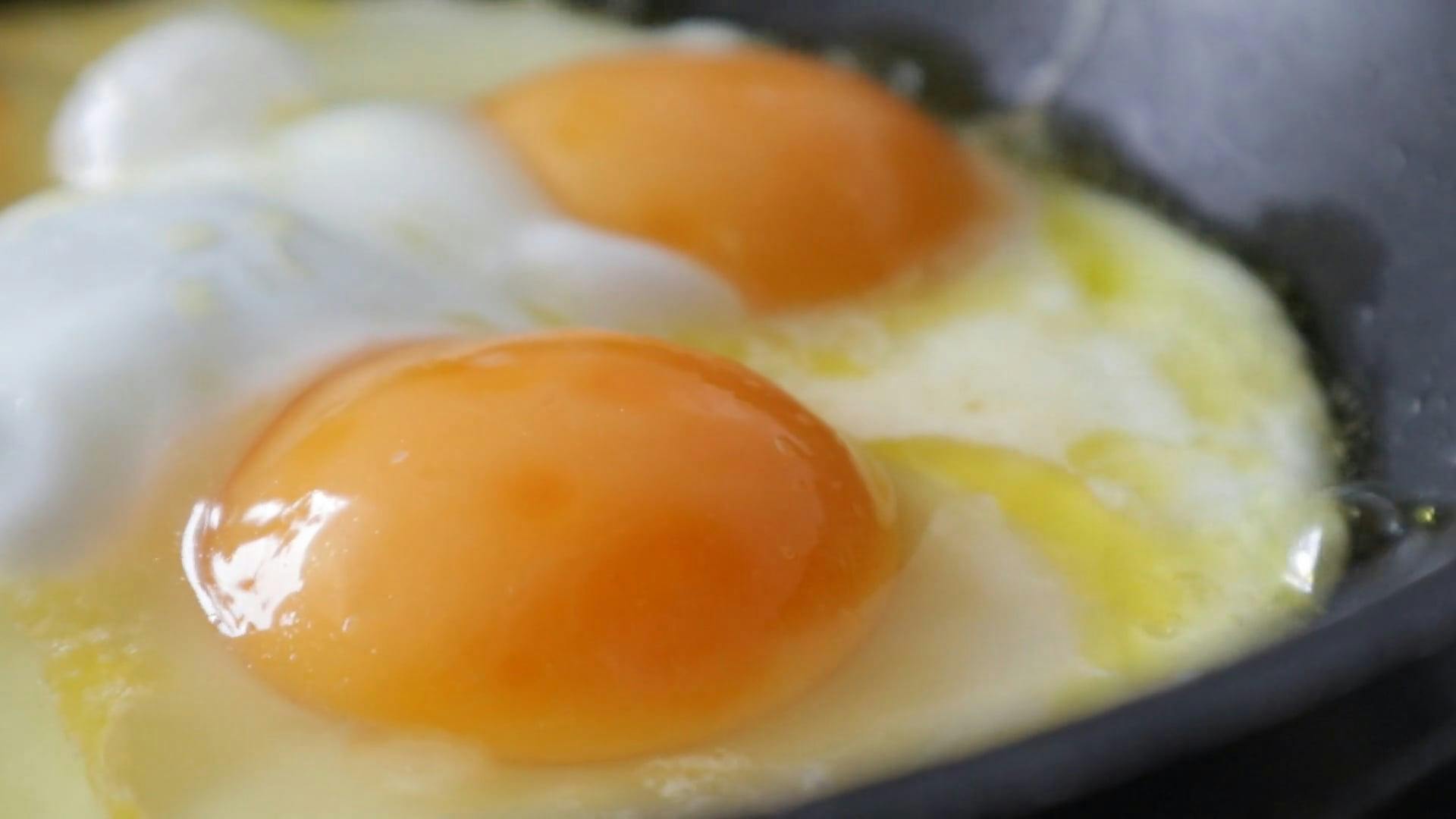 White And Yolk Videos, Download The BEST Free 4k Stock Video Footage ...