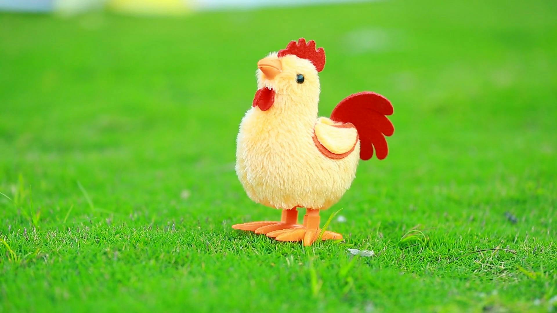 Chicken Animated Videos, Download The BEST Free 4k Stock Video Footage ...