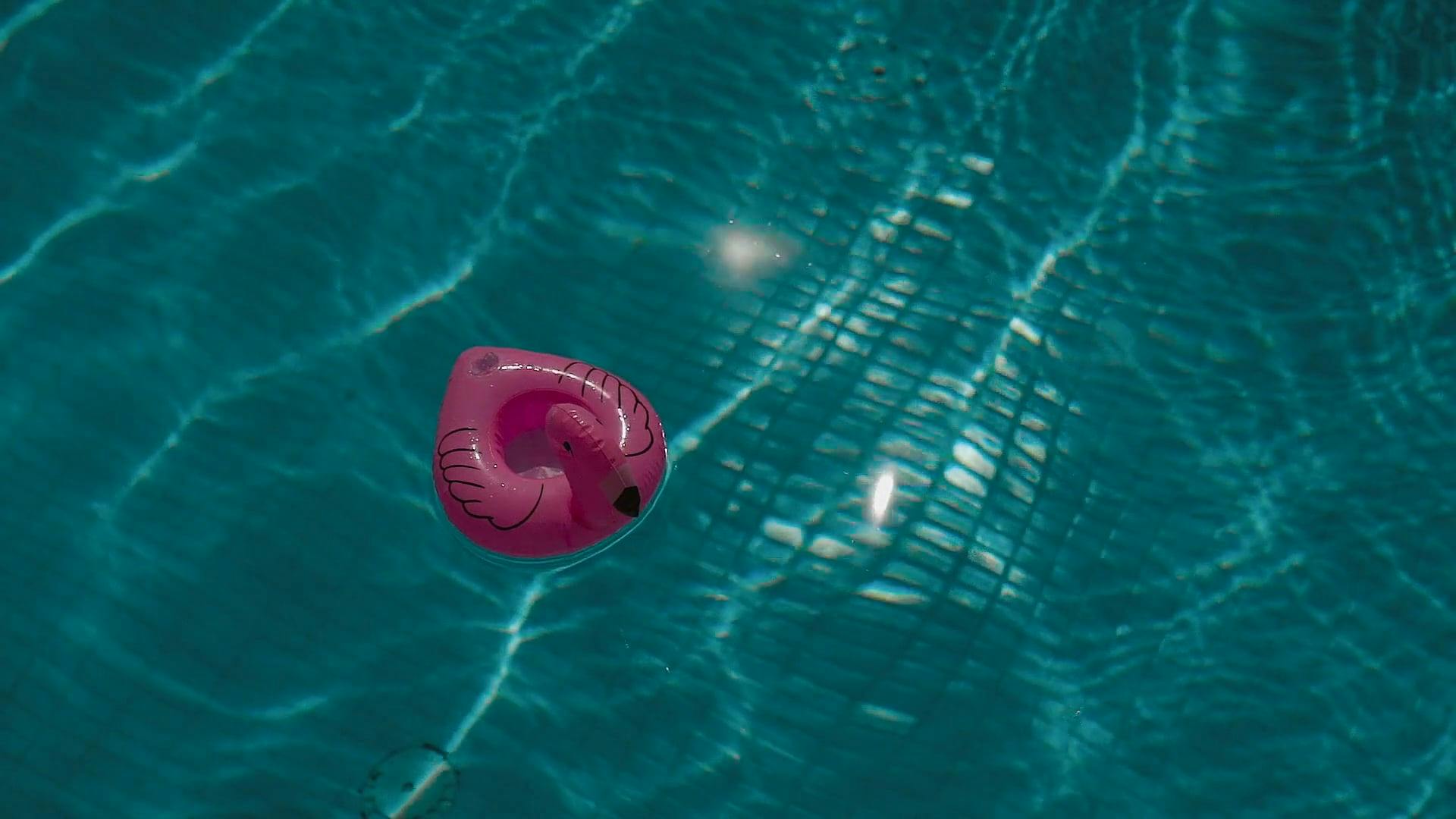 An Inflatable Floater Floating In The Pool · Free Stock Video