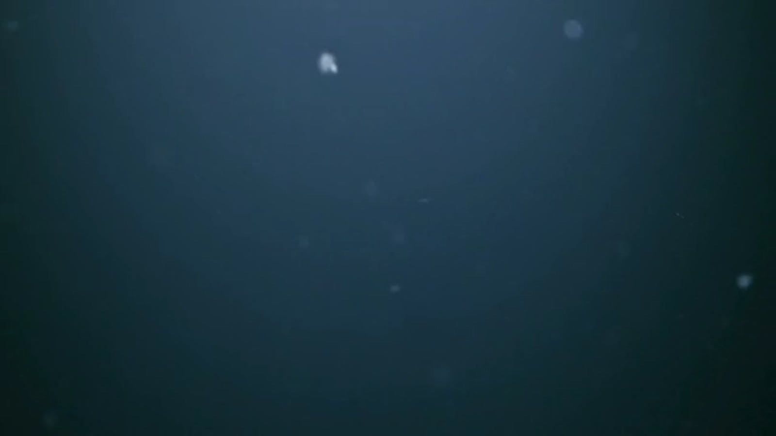 Dust Particles Videos, Download The BEST Free 4k Stock Video Footage ...