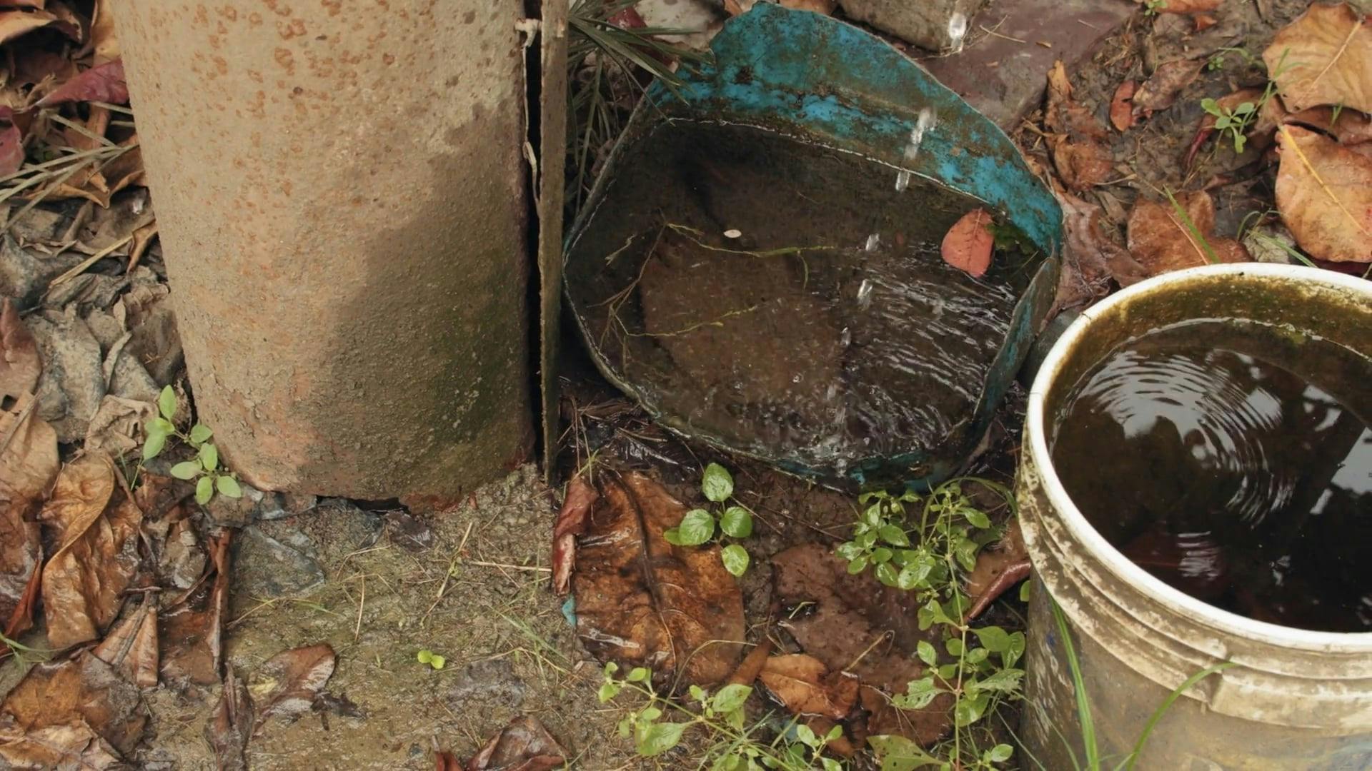 Water Dripping Into A Pail · Free Stock Video