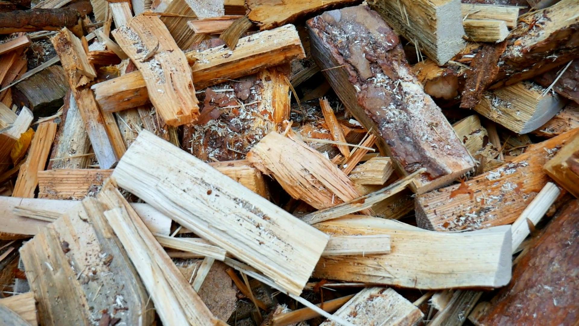 Bark Chips Videos, Download The BEST Free 4k Stock Video Footage & Bark ...