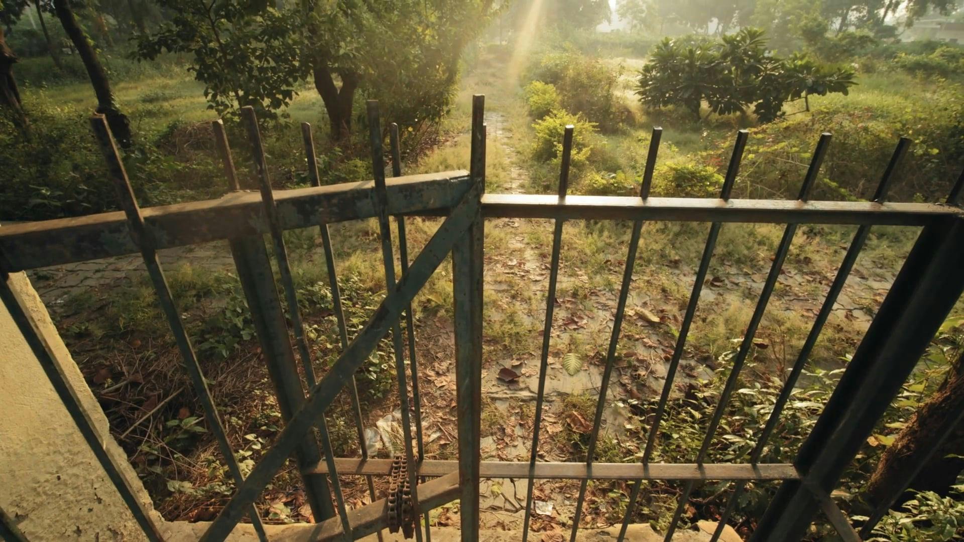 Gate Videos, Download The BEST Free 4k Stock Video Footage & Gate HD ...