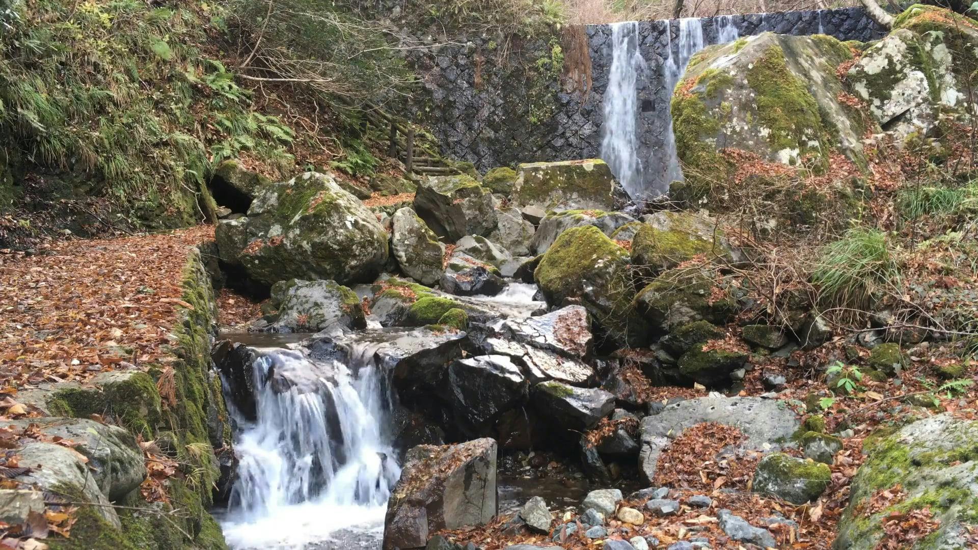 Footage Of A Small Waterfalls In The Forest · Free Stock Video