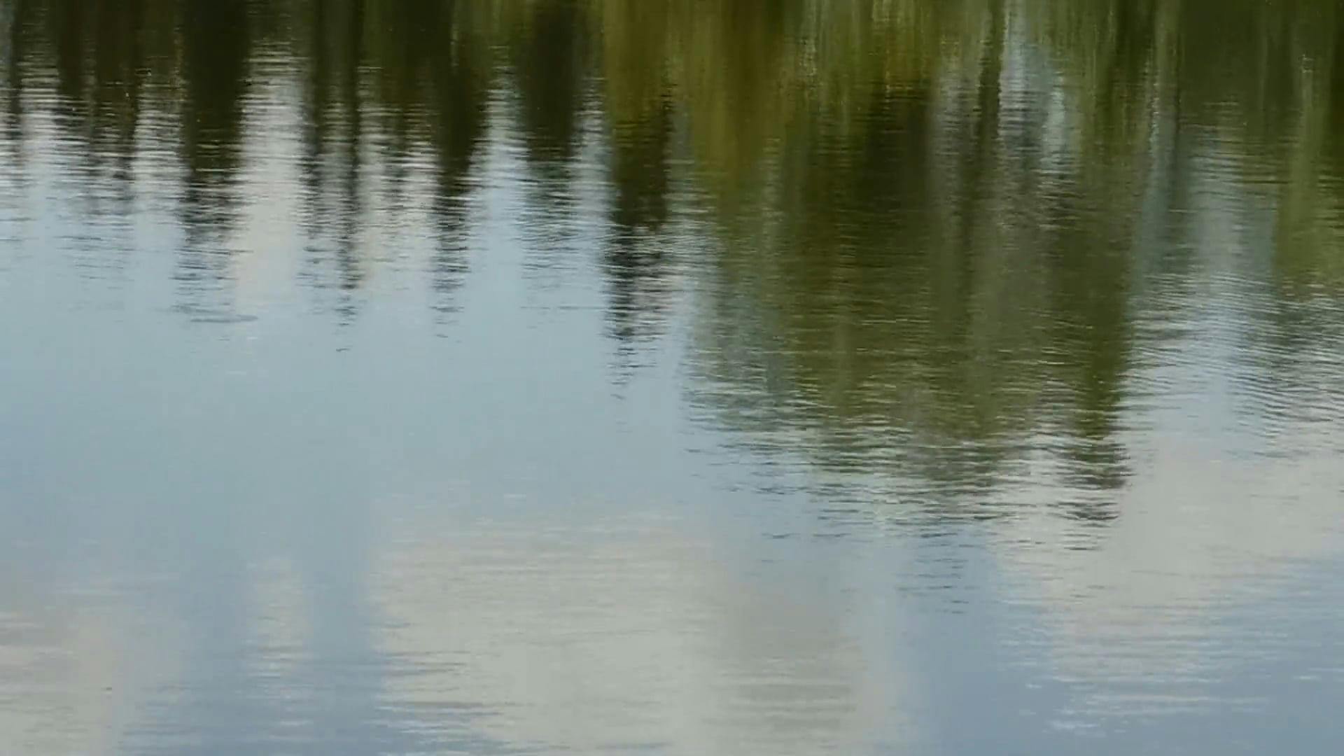 Seeing In Mirror Videos, Download The BEST Free 4k Stock Video Footage ...