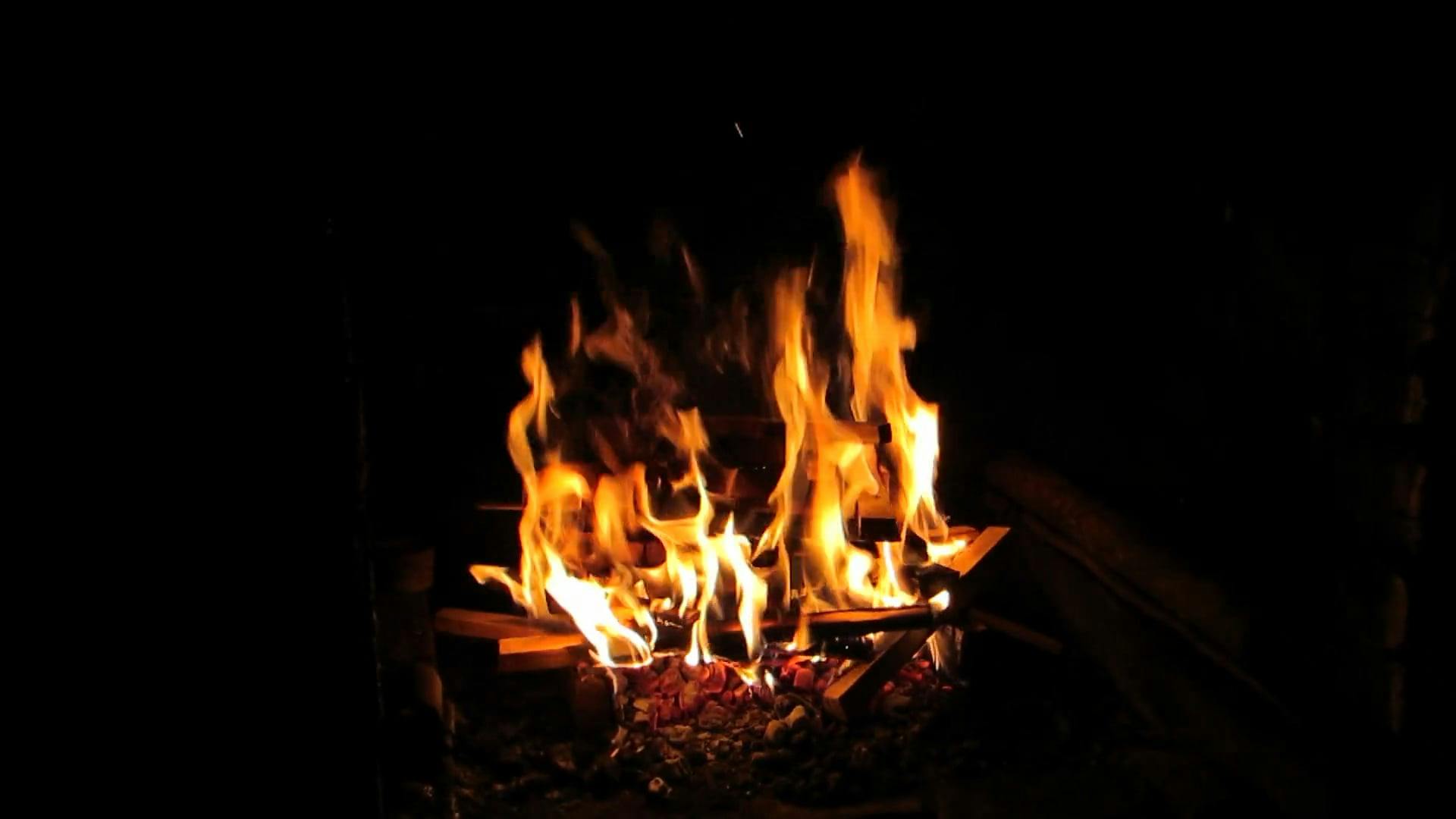 Fire Burning · Free Stock Video