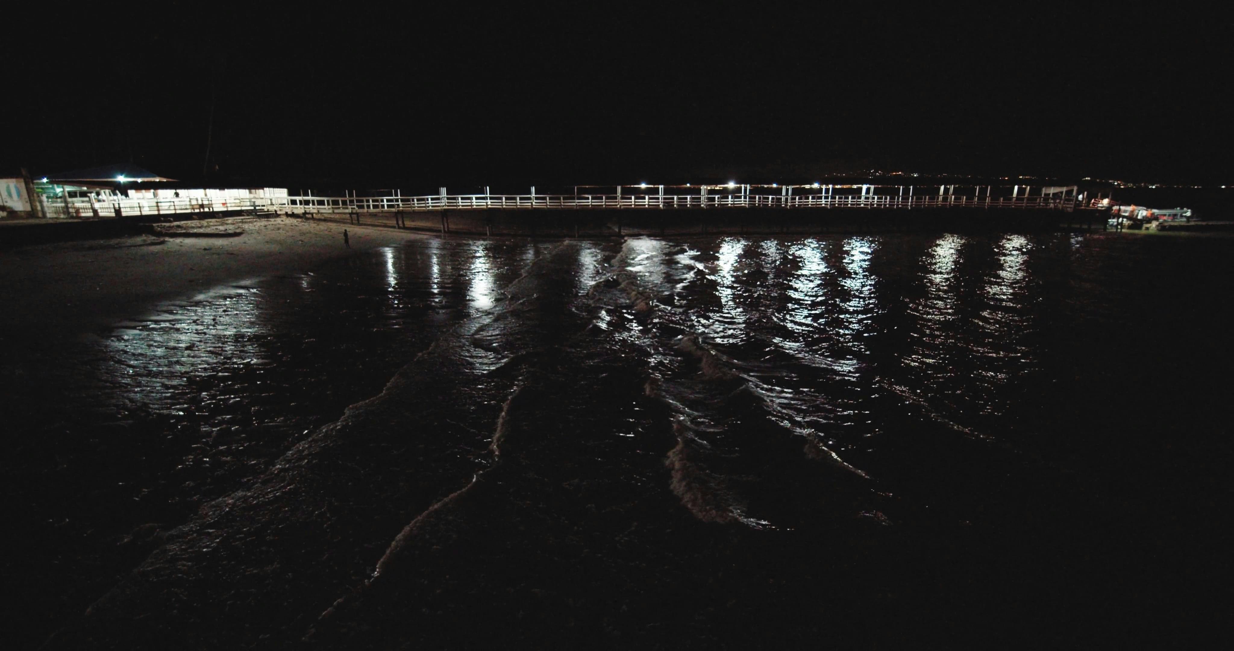 Waves Kissing The Shore At Night · Free Stock Video