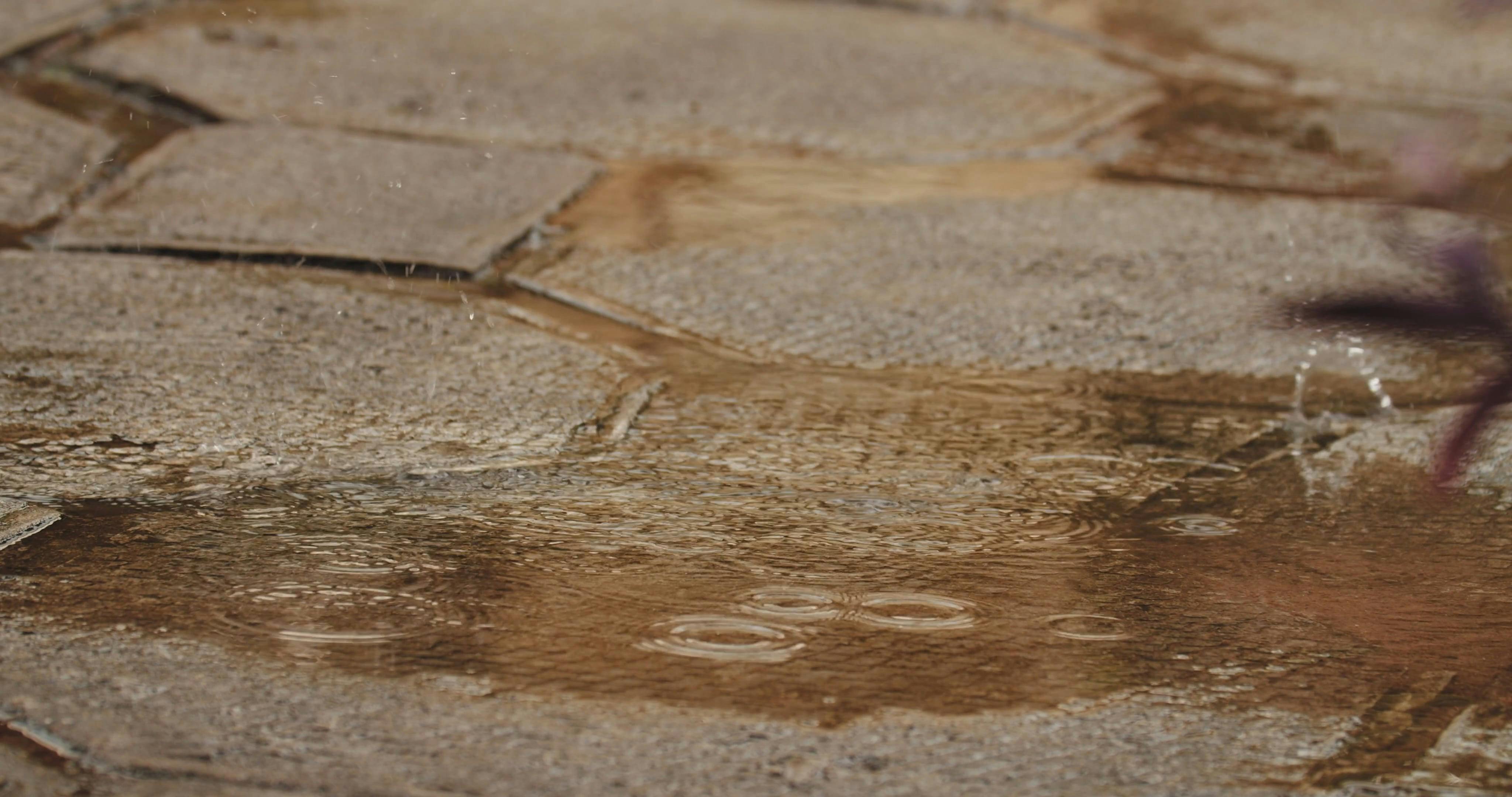 Raindrops On The Ground · Free Stock Video