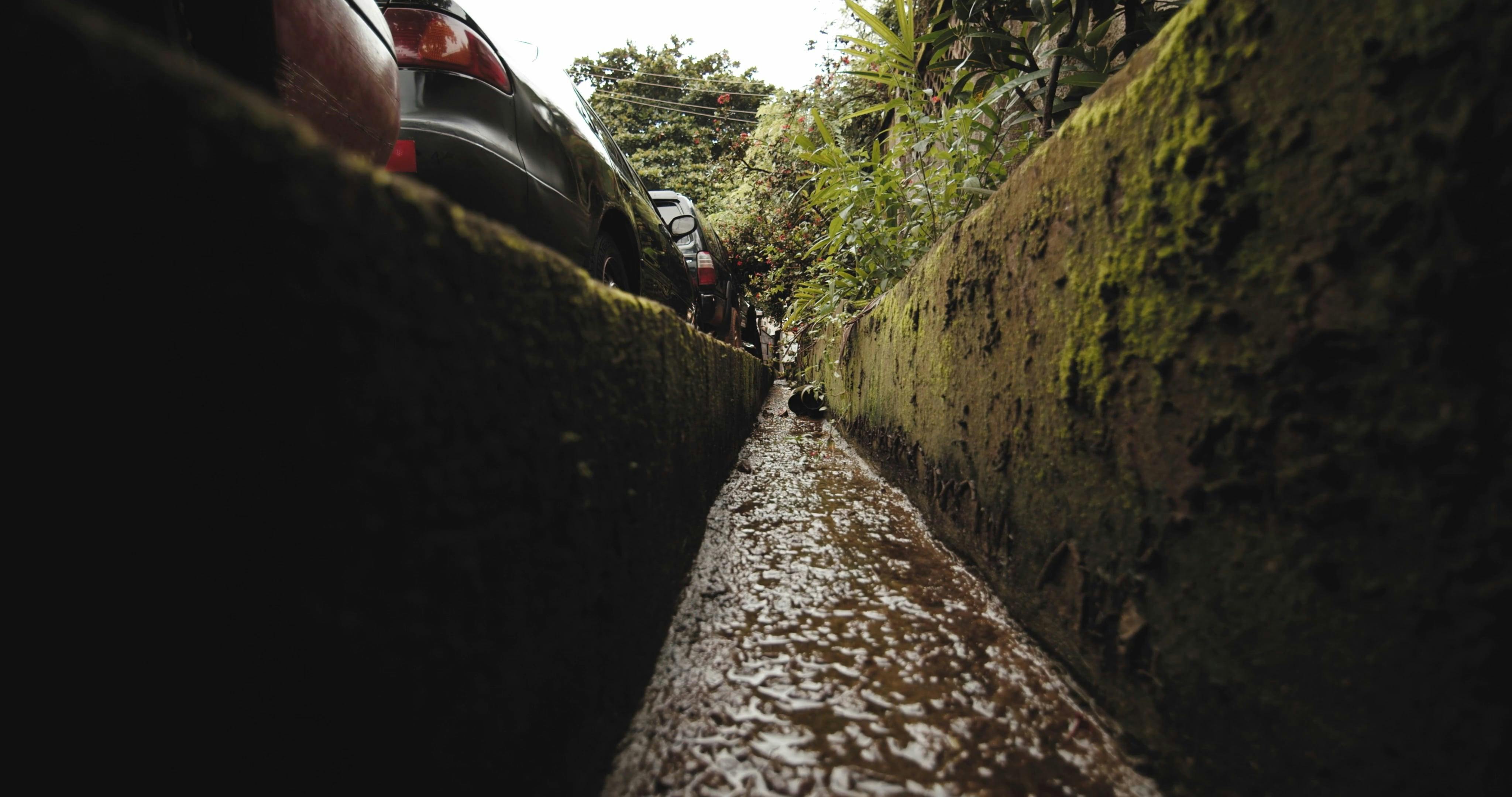 pexels-photo-3723649.jpeg?auto=compress&cs=tinysrgb&fit=crop&h=627&w=1200